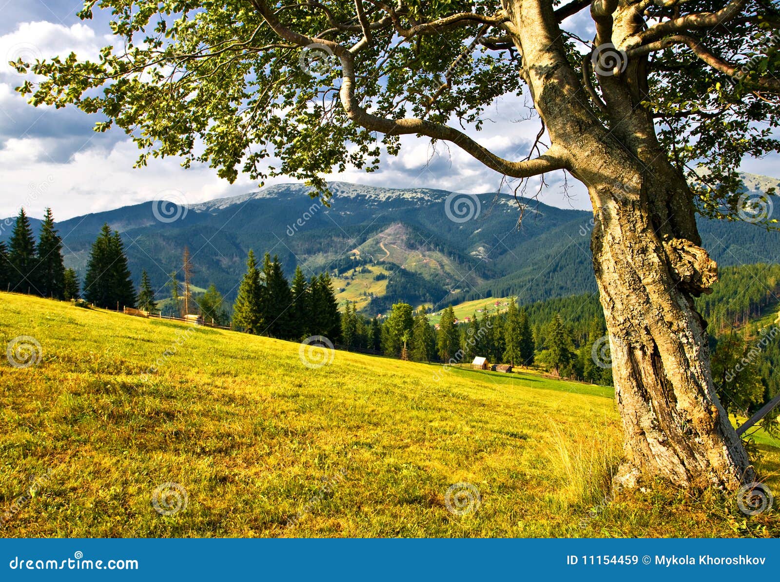 Field landscape stock image. Image of field, farm, landscape - 11154459