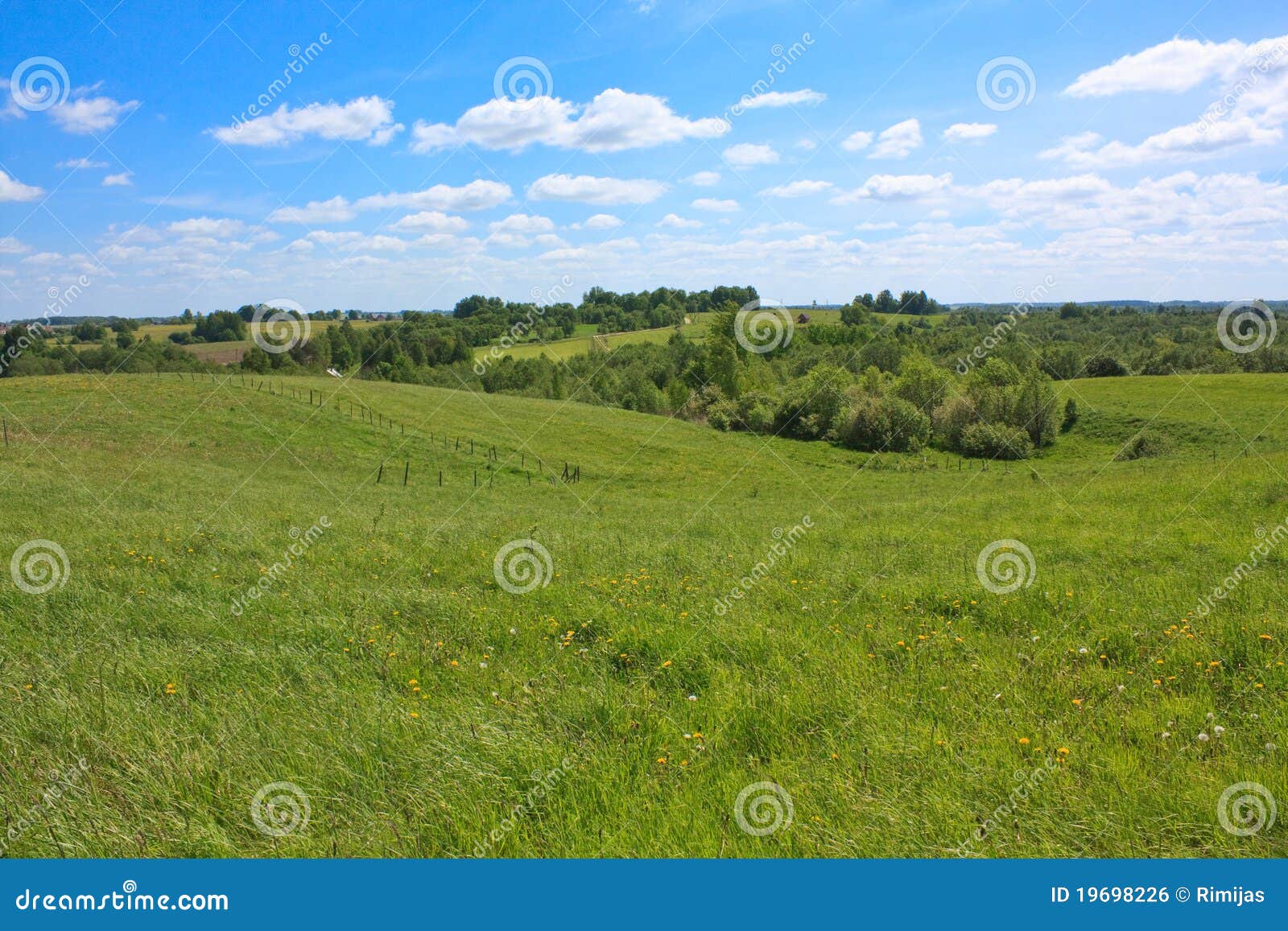 Field landscape stock photo. Image of beauty, field, agricultural ...