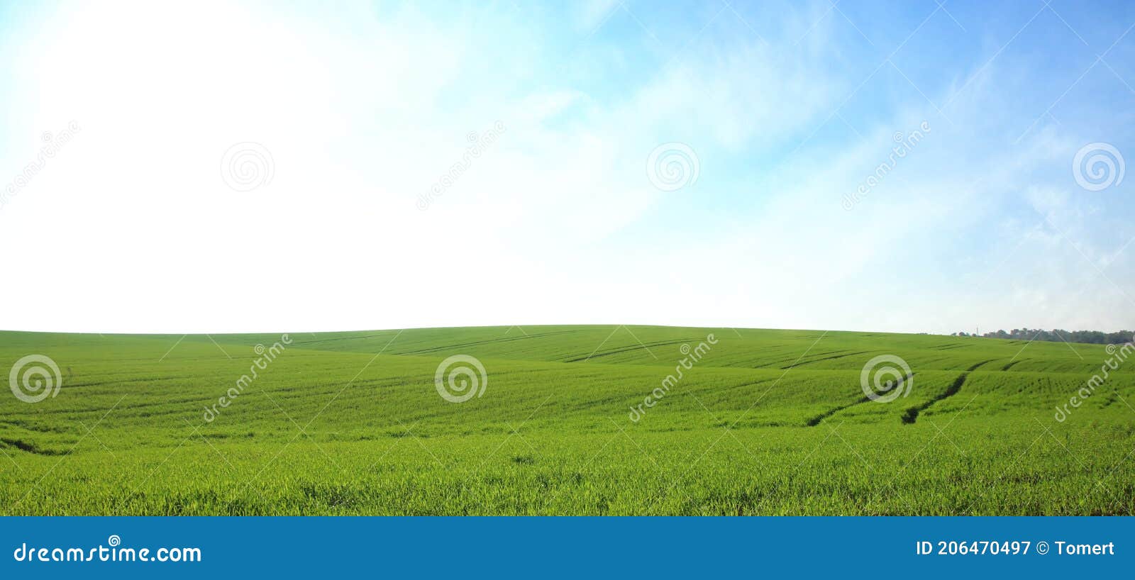 Field Landscape with Blue Sky Horizon Stock Image - Image of lawn, blue ...