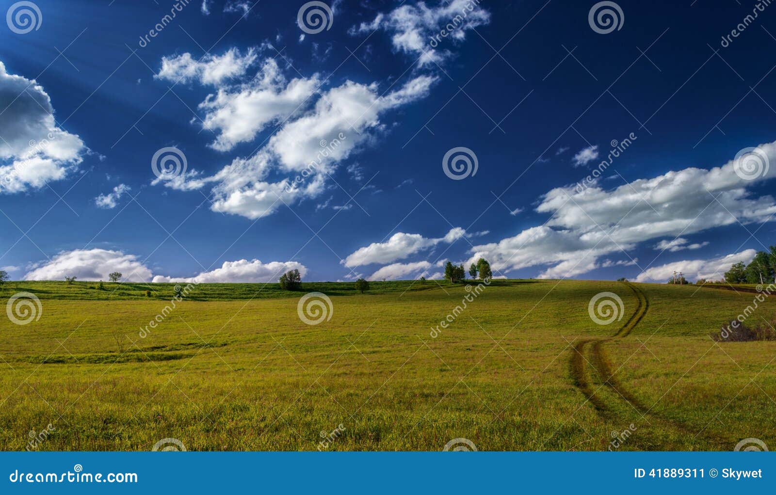 Field stock image. Image of nature, road, trees, track - 41889311