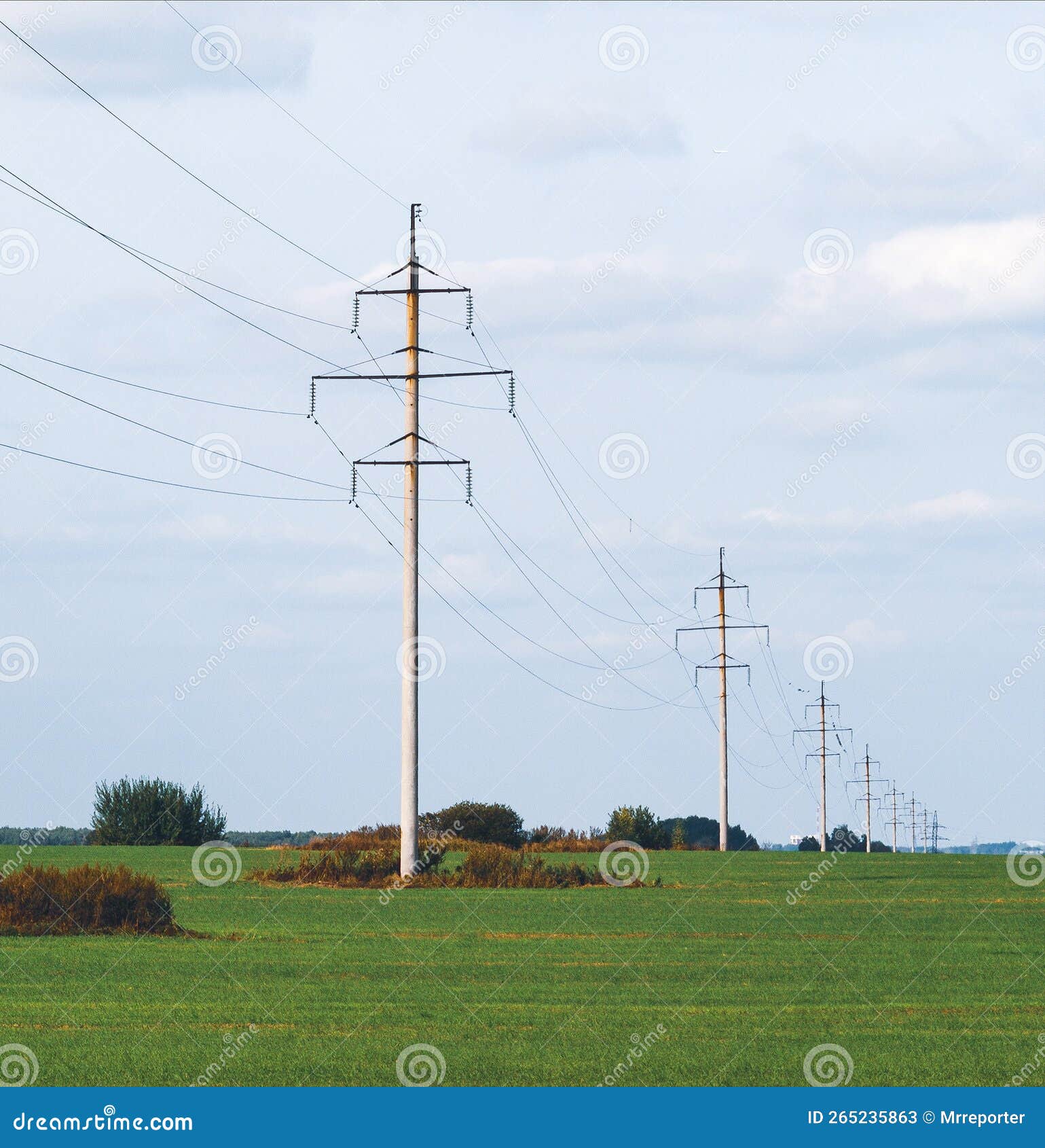 Field Landscape with the Local High Voltage Concrete Masts Stock Image ...