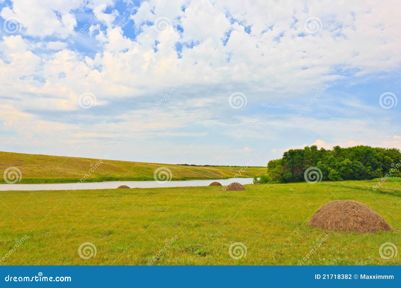 Field Landscape with River and Hay Stock Photo - Image of open, craft ...