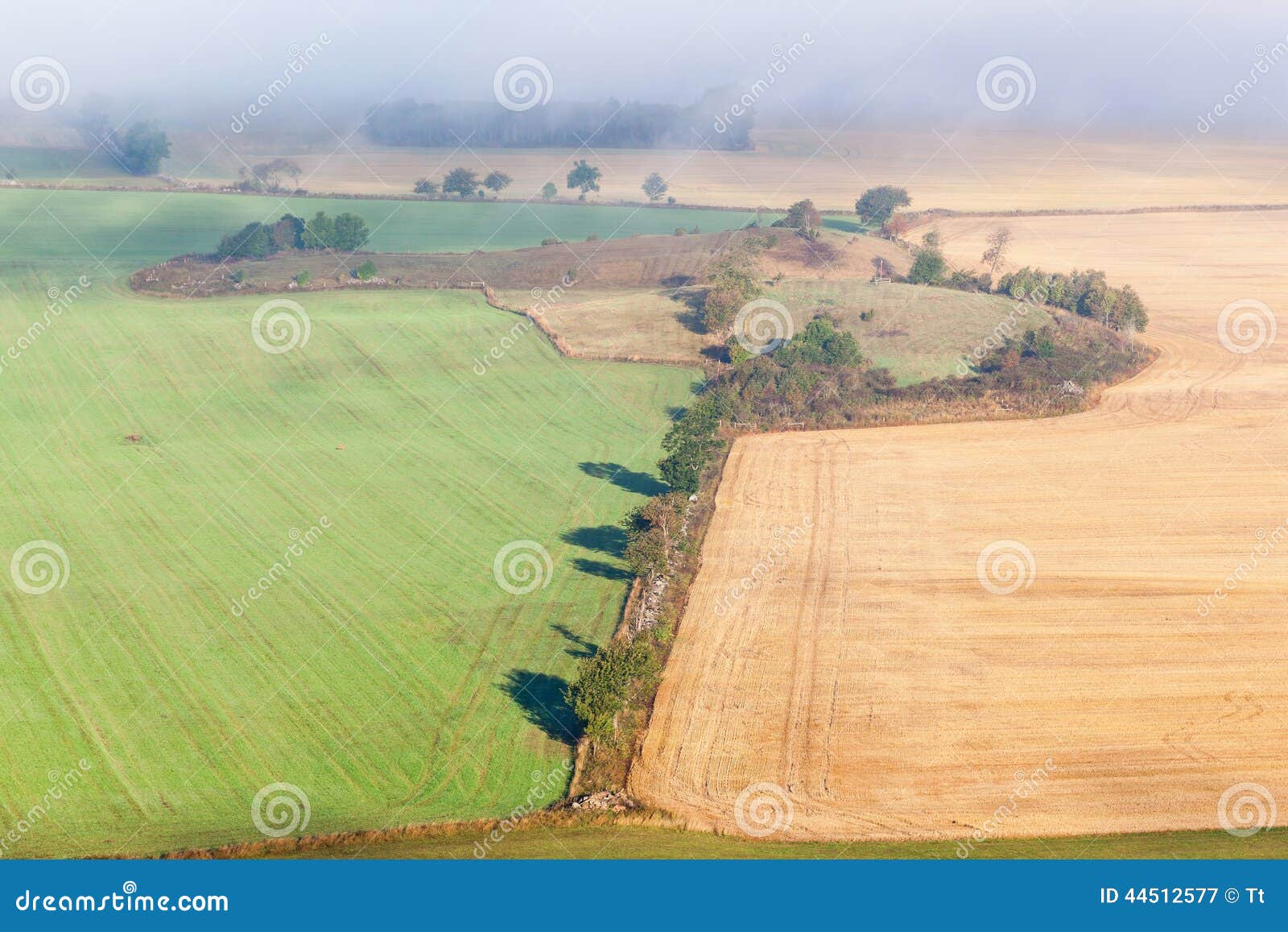 Field landscape stock image. Image of field, morning - 44512577