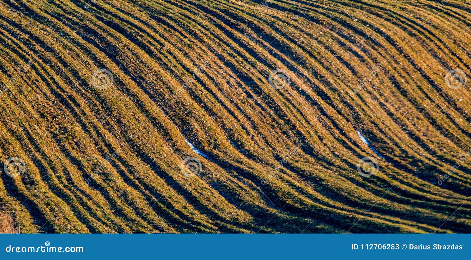 Field Landscape at Sunset, Lines Stock Image - Image of hill, season ...
