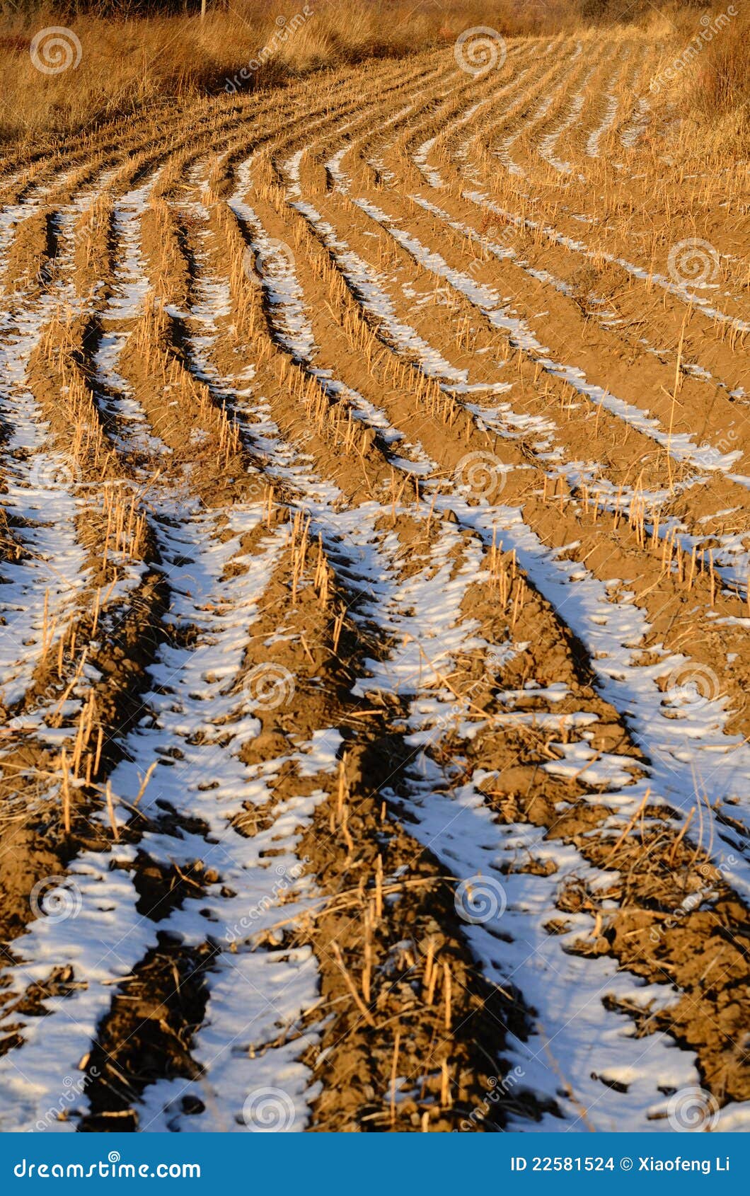 9,652 Rural Textures Stock Photos - Free & Royalty-Free Stock Photos ...