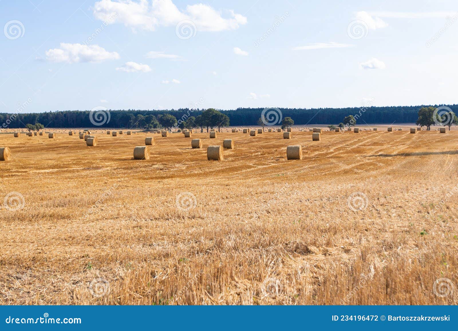 A Field for a Large Bale. Early Fall Stock Photo - Image of group ...