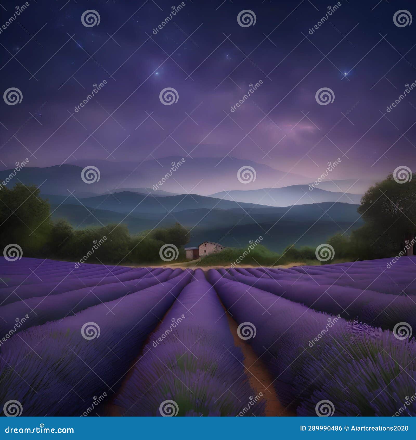 A Field of Lavender Under a Starry Night Sky, with Fireflies Adding a ...