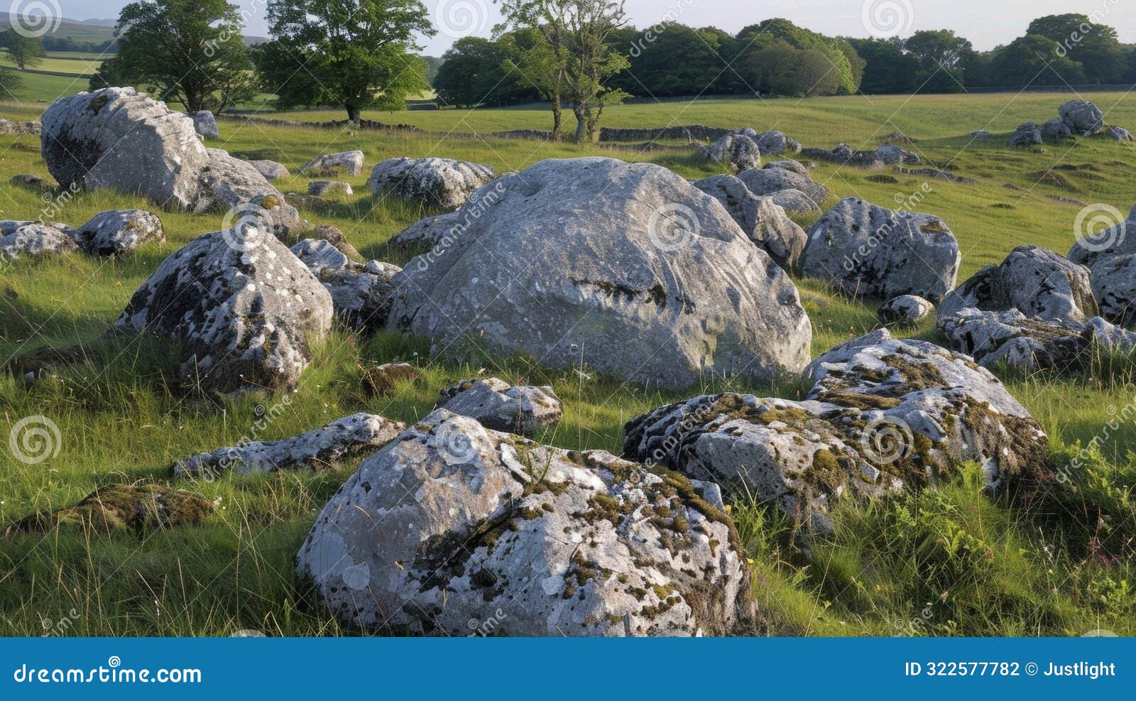 A Field of Limestone Boulders Each One Unique in Its Shape and Texture ...