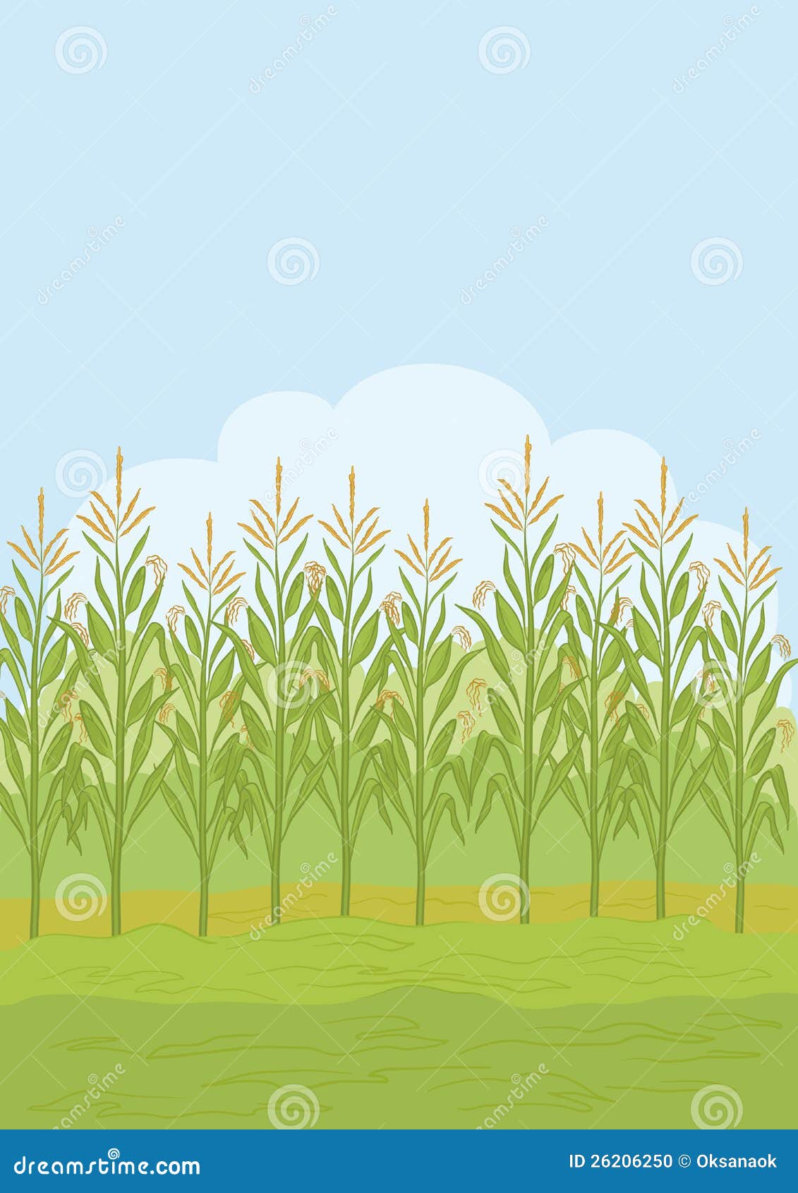 Maize Cartoon Vector | CartoonDealer.com #5882193