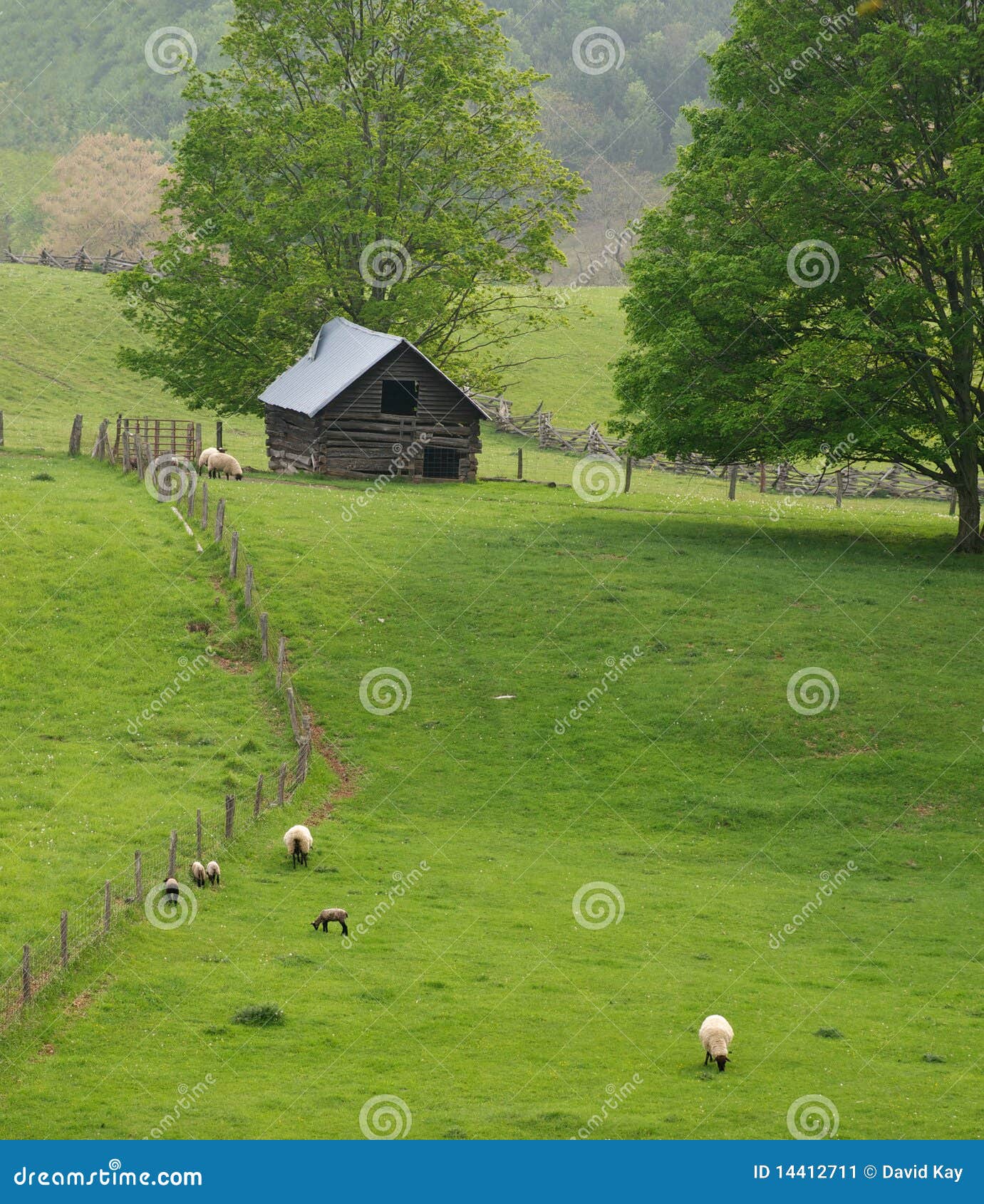 Field and Meadows in Rural Virginia Stock Image - Image of fleece ...