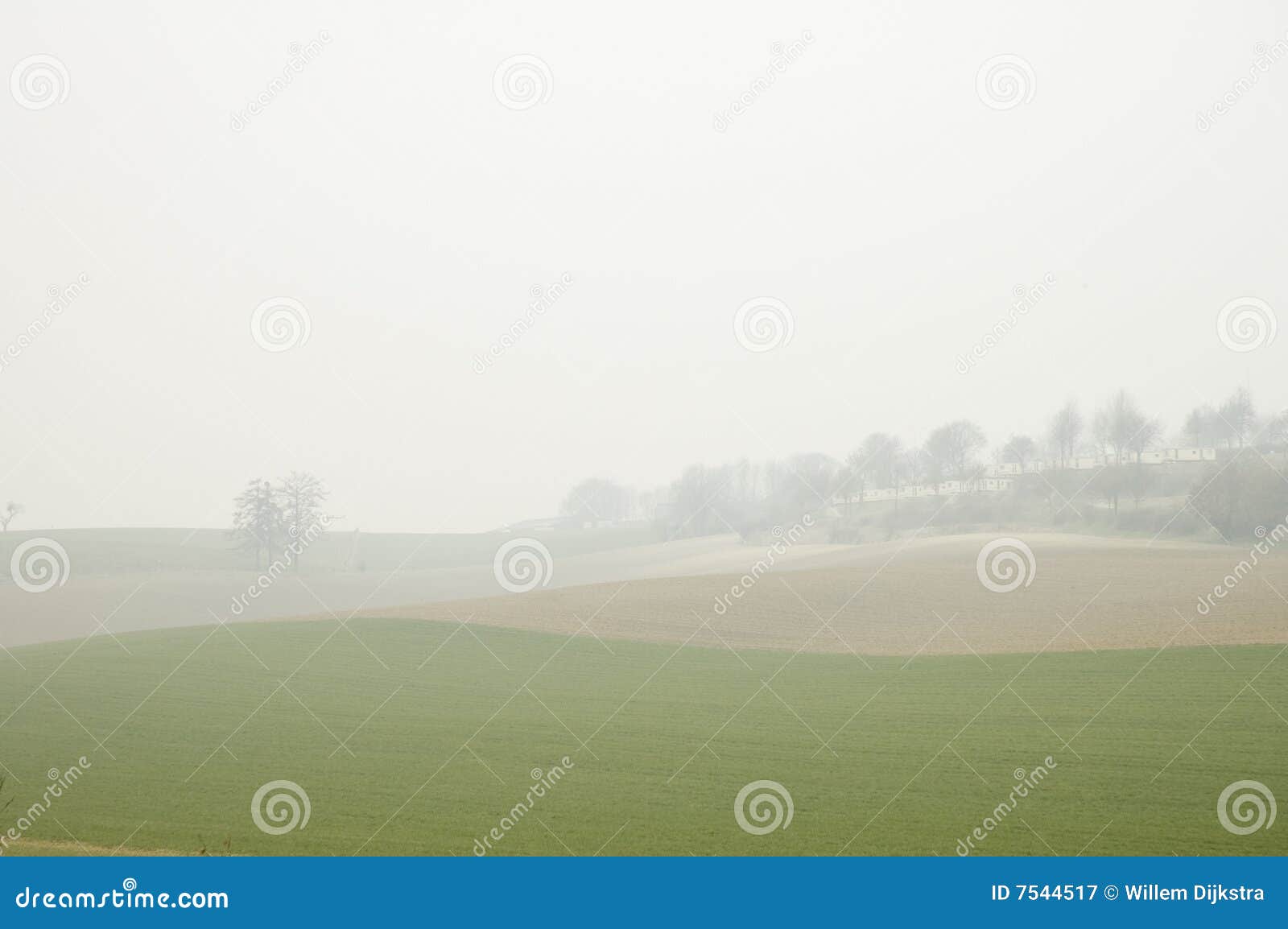 Field in mist stock image. Image of serene, limburg, grass - 7544517
