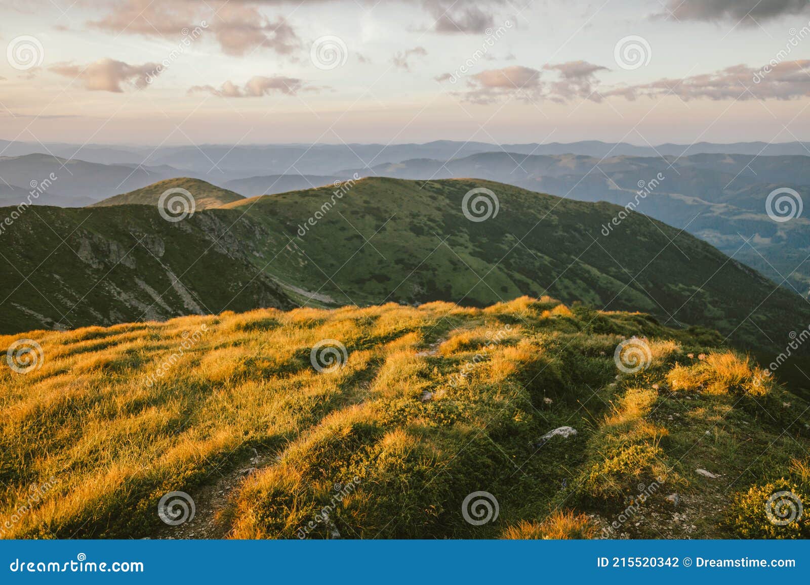 A Field with a Mountain in the Background Stock Photo - Image of grass ...