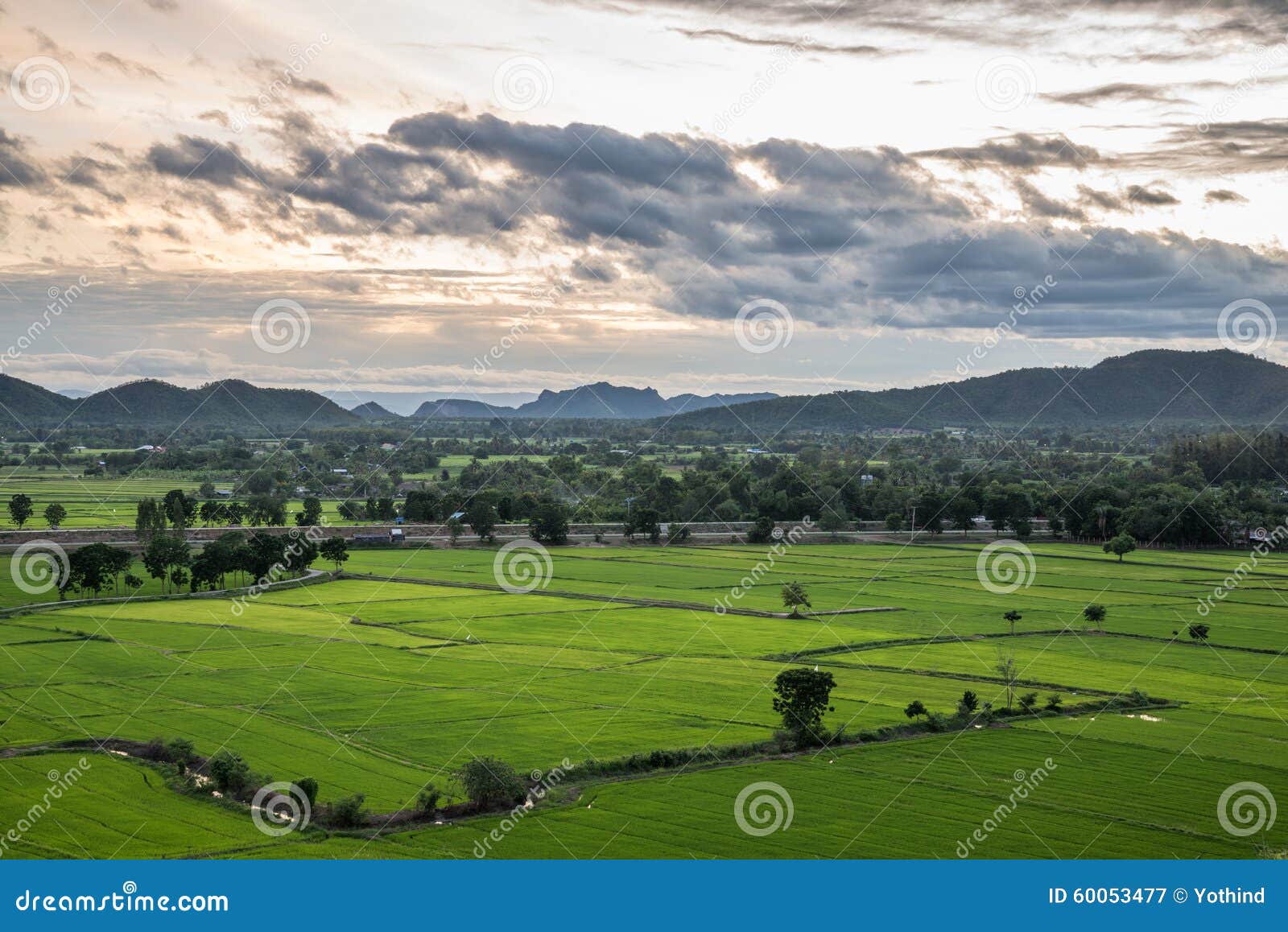 Field and Mountain Landscape Stock Image - Image of scenery, forest ...