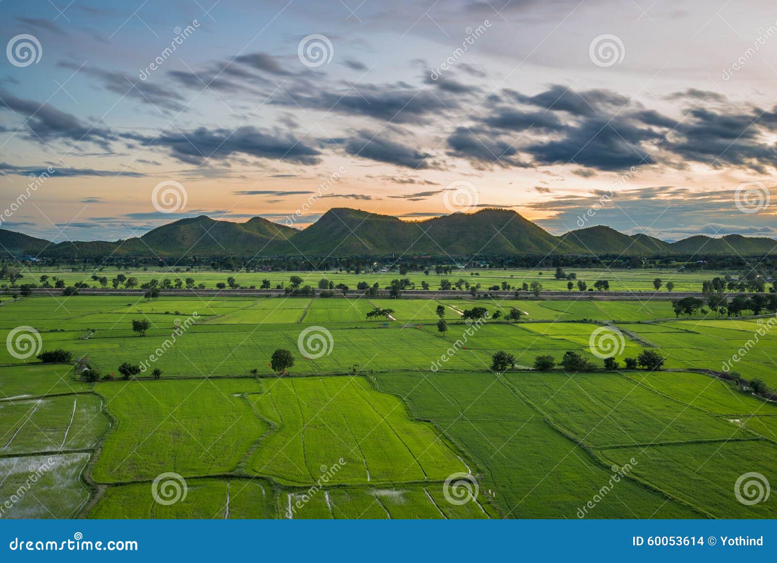 Field and Mountain Landscape Stock Photo - Image of forest, field: 60053614