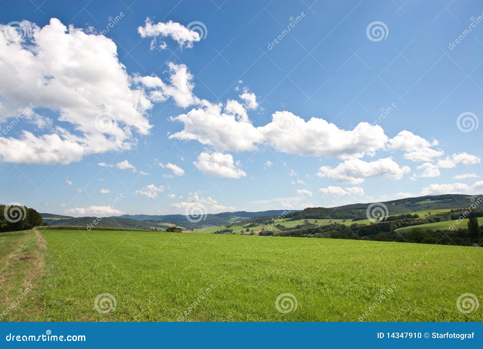 Field in the mountains stock photo. Image of grow, outdoor - 14347910