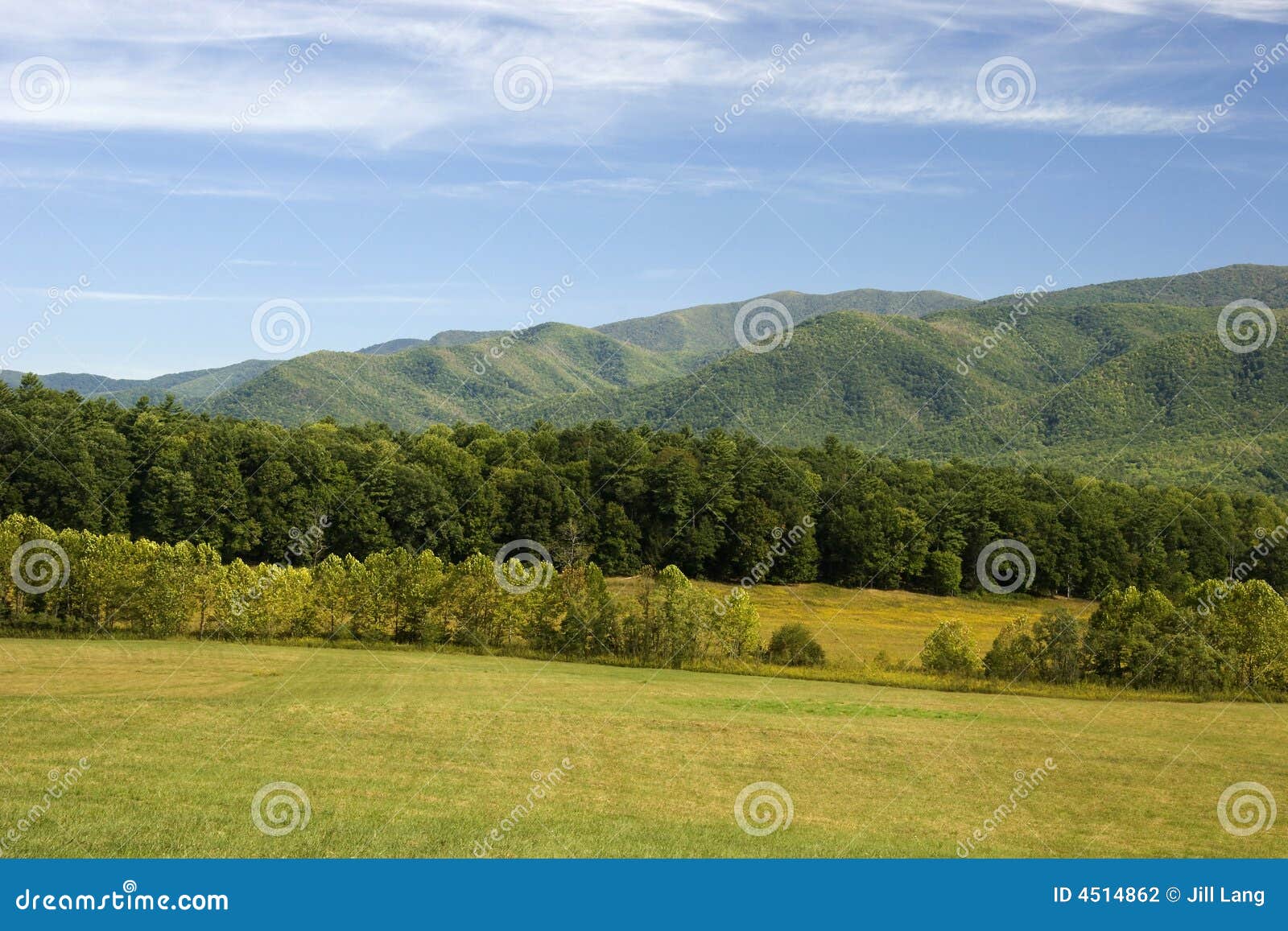 Field and Mountains stock photo. Image of green, nature - 4514862
