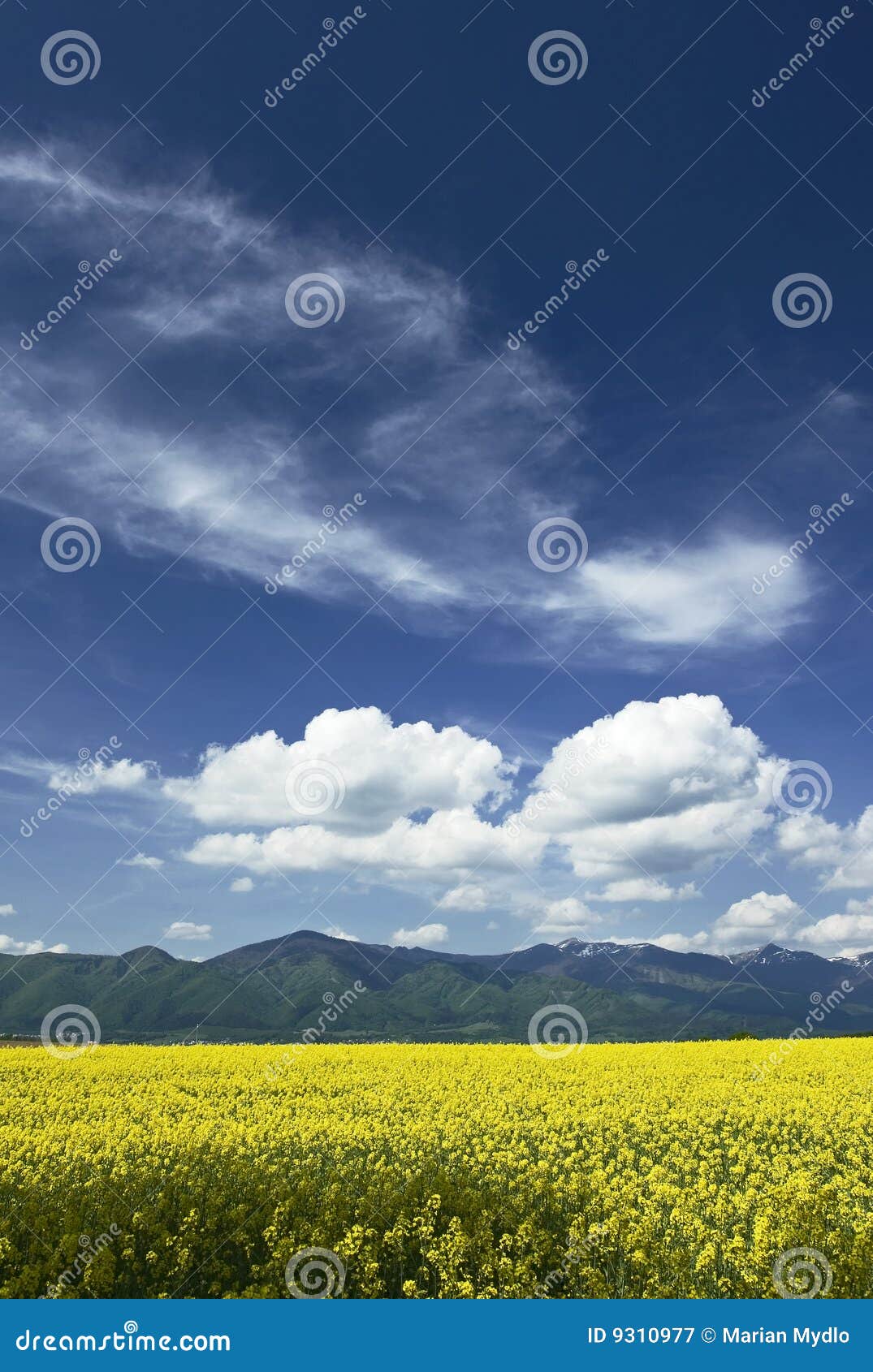 Field and mountains stock image. Image of mountains, background - 9310977