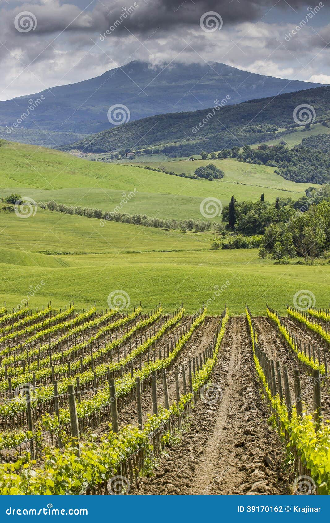 Field in mountains stock photo. Image of oasis, green - 39170162