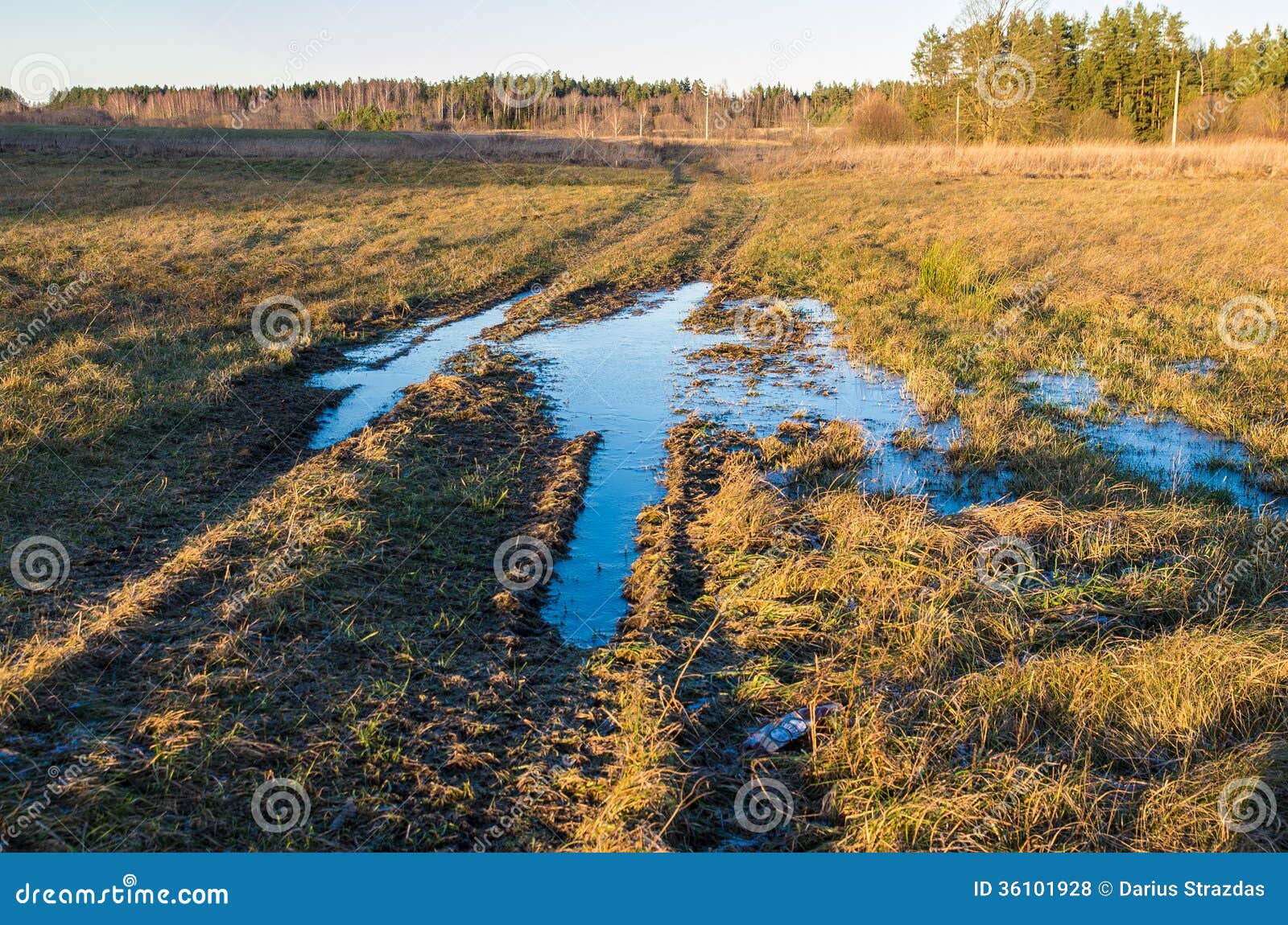Field and mud puddle stock photo. Image of water, farmland - 36101928