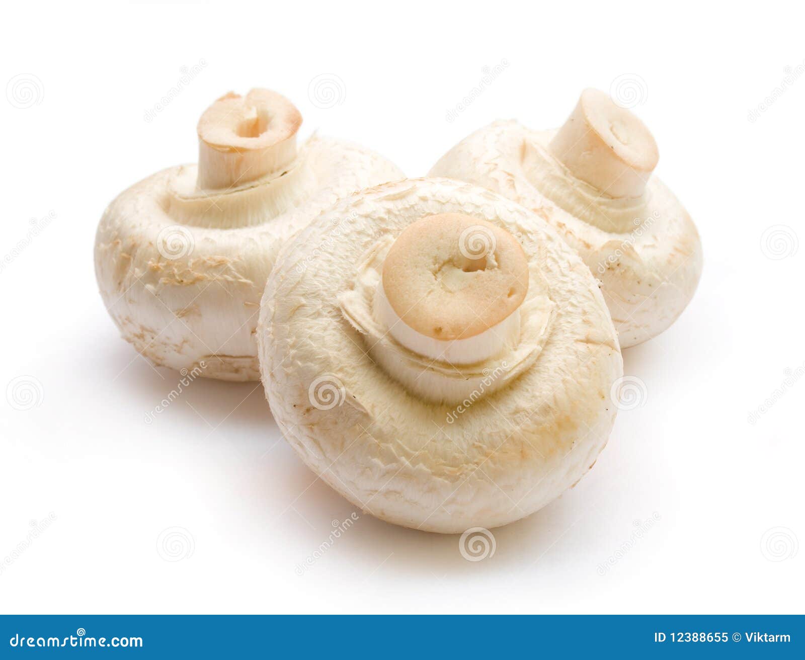 Field mushrooms stock image. Image of healthy, eating - 12388655