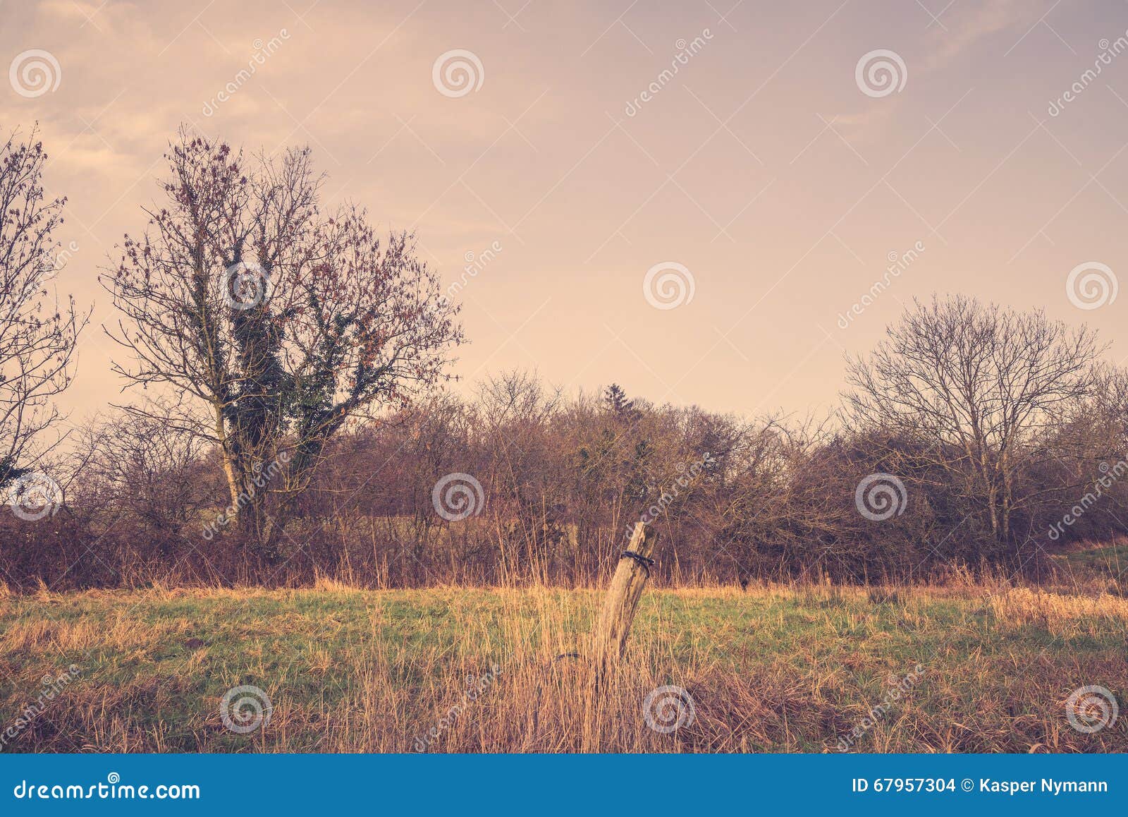 Field with an Old Fence Post Stock Photo - Image of land, color: 67957304