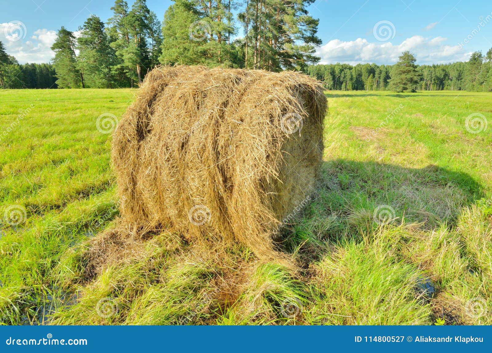 Roll in the Hay in the Field. Stock Image - Image of season, stack ...