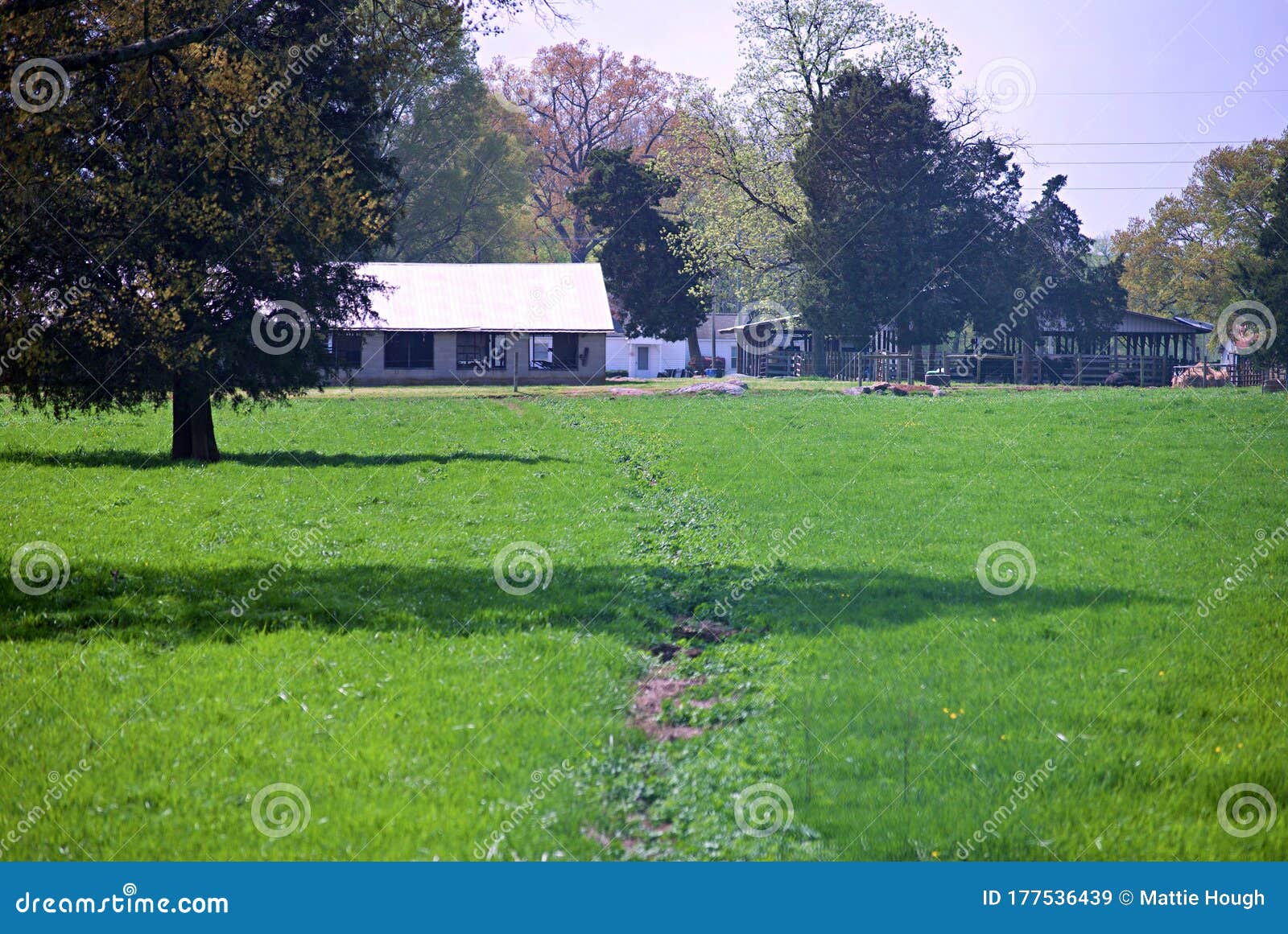 Field stock image. Image of field, nature, barn, open - 177536439