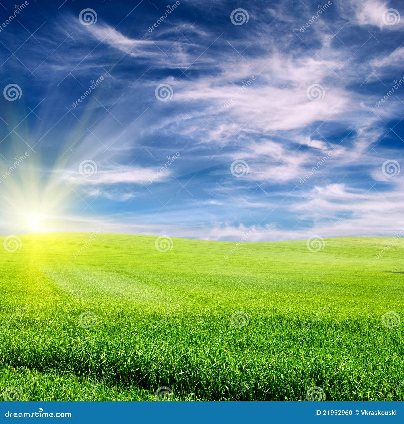 Field over cloudy blue sky stock photo. Image of meadow - 21952960