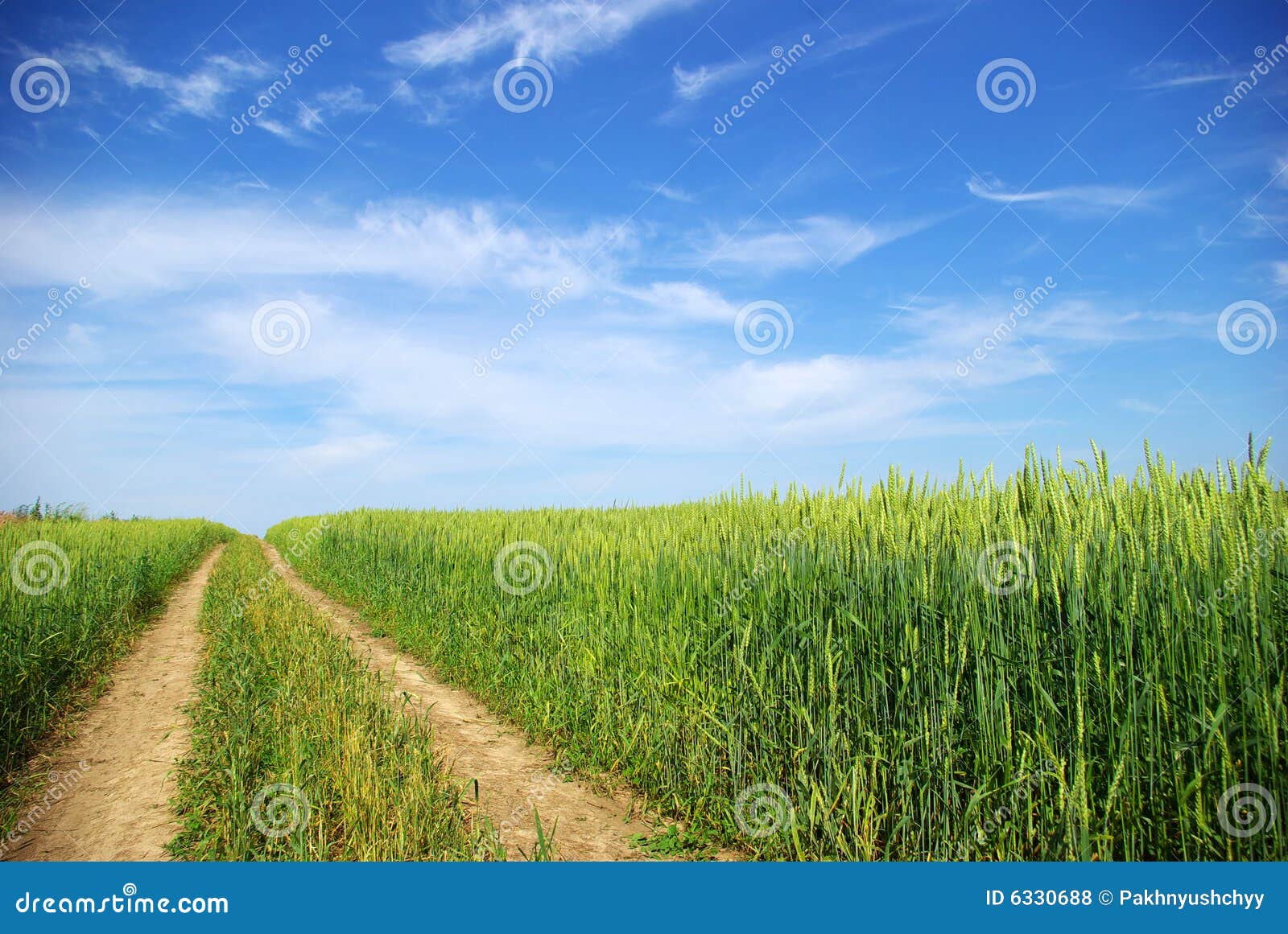 Field Path Picture. Image: 6330688