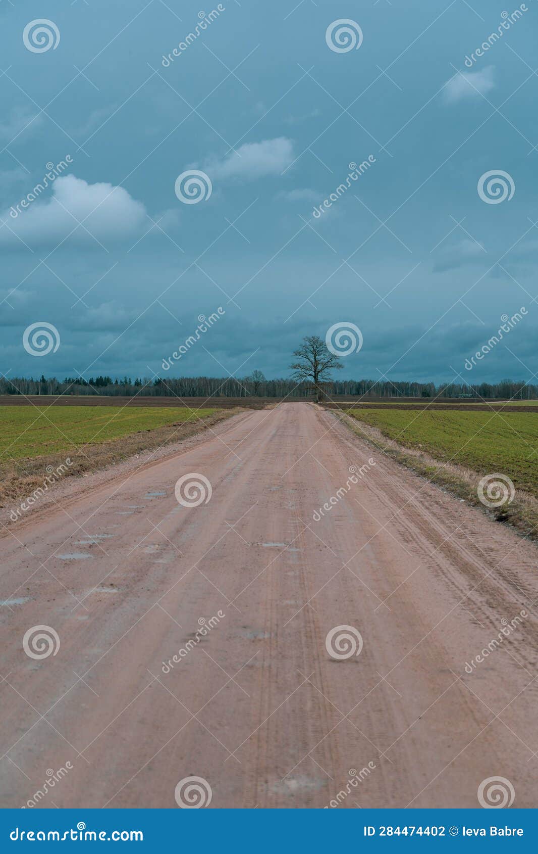 Field Path. in the Middle of the Horizon, a Tree Stock Photo - Image of ...