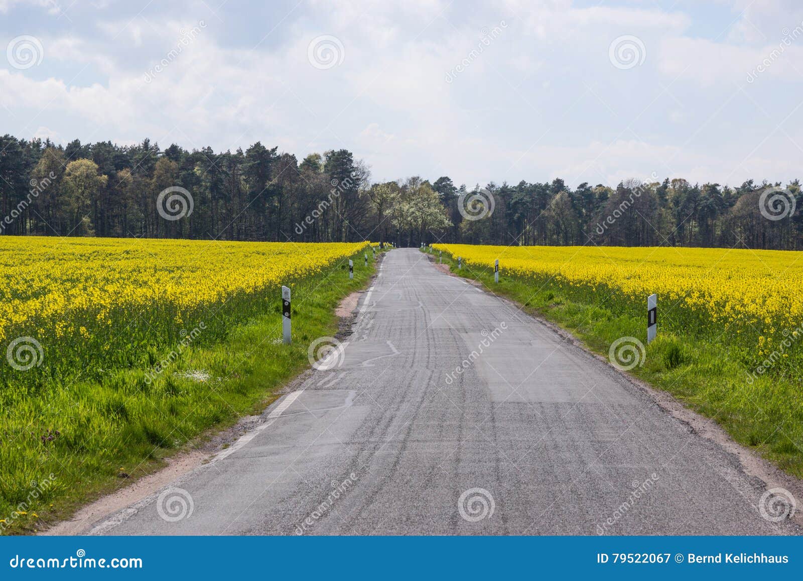Field Path between the Fields Stock Image - Image of landscape, beauty ...