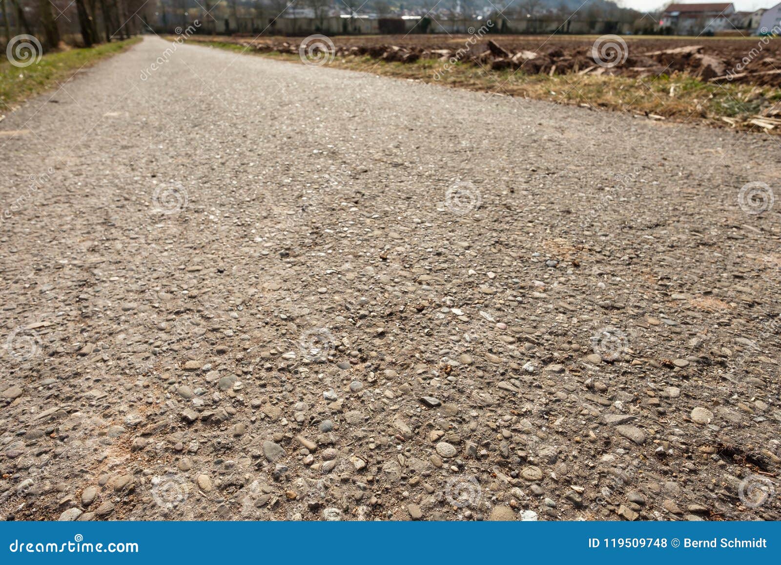 Field Path with Tar and Stones in Backlight Stock Photo - Image of ...