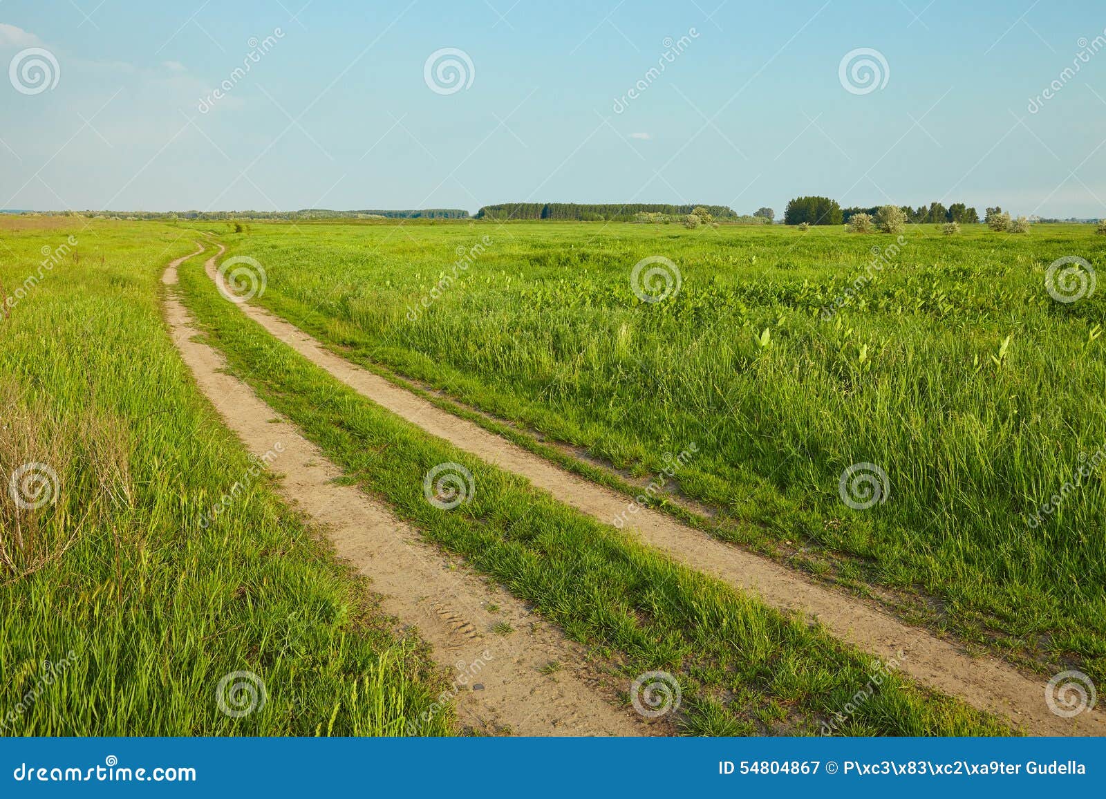 Field with path stock image. Image of distance, ground - 54804867