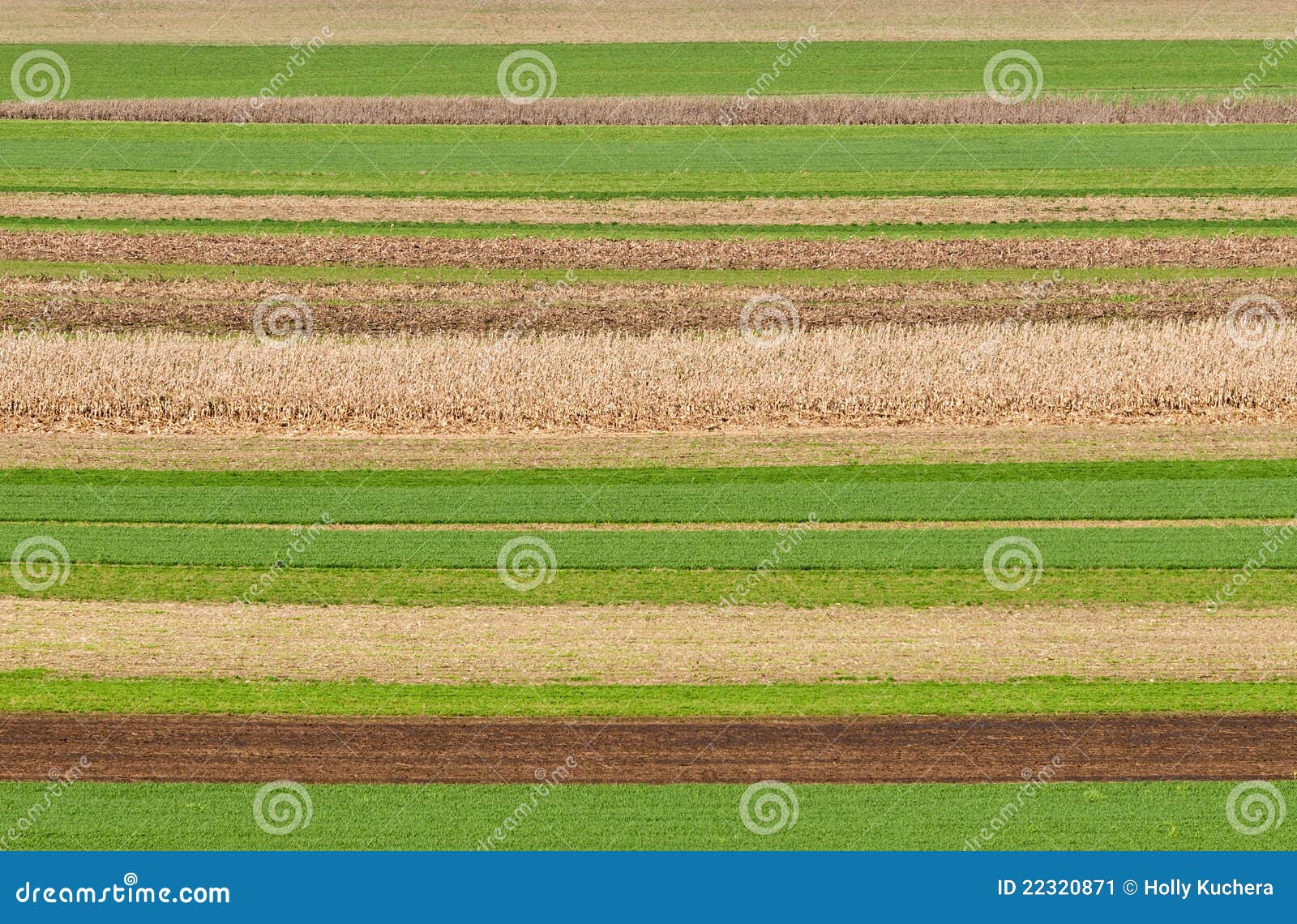 Field Patterns stock image. Image of outdoors, harvest - 22320871