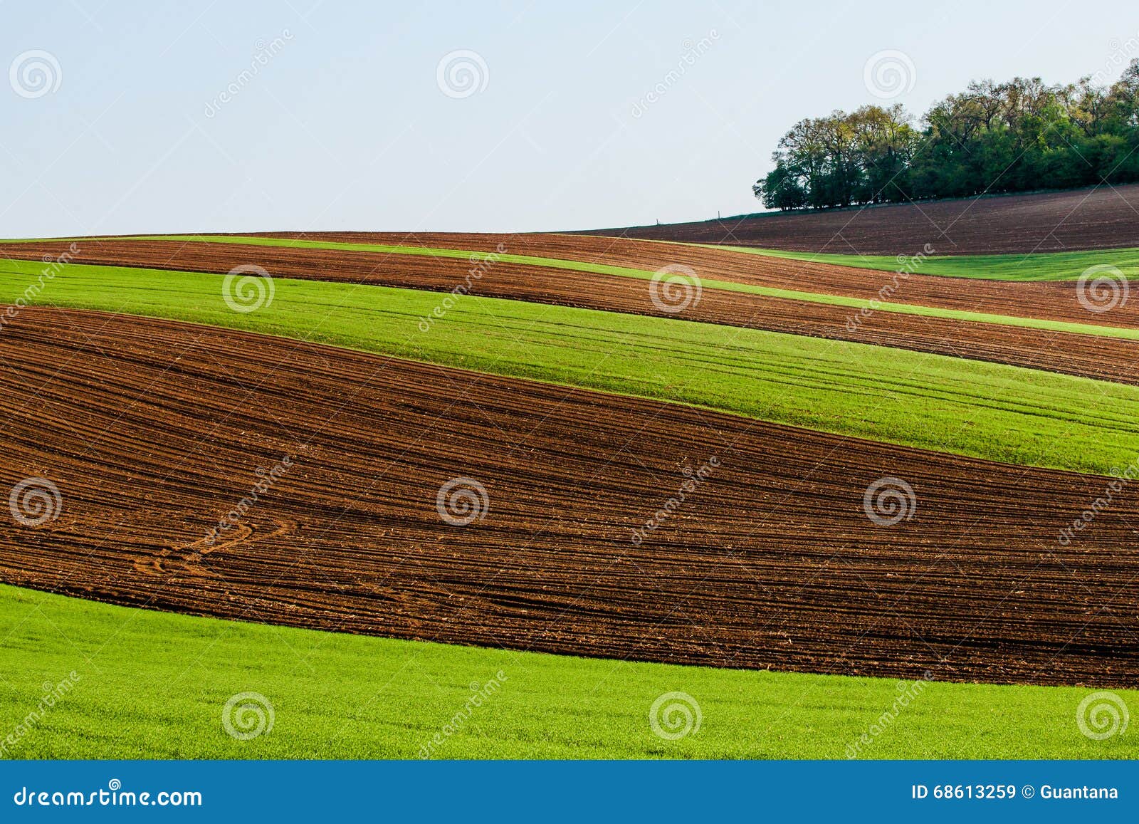 Field patterns stock image. Image of field, corn, slovakia - 68613259