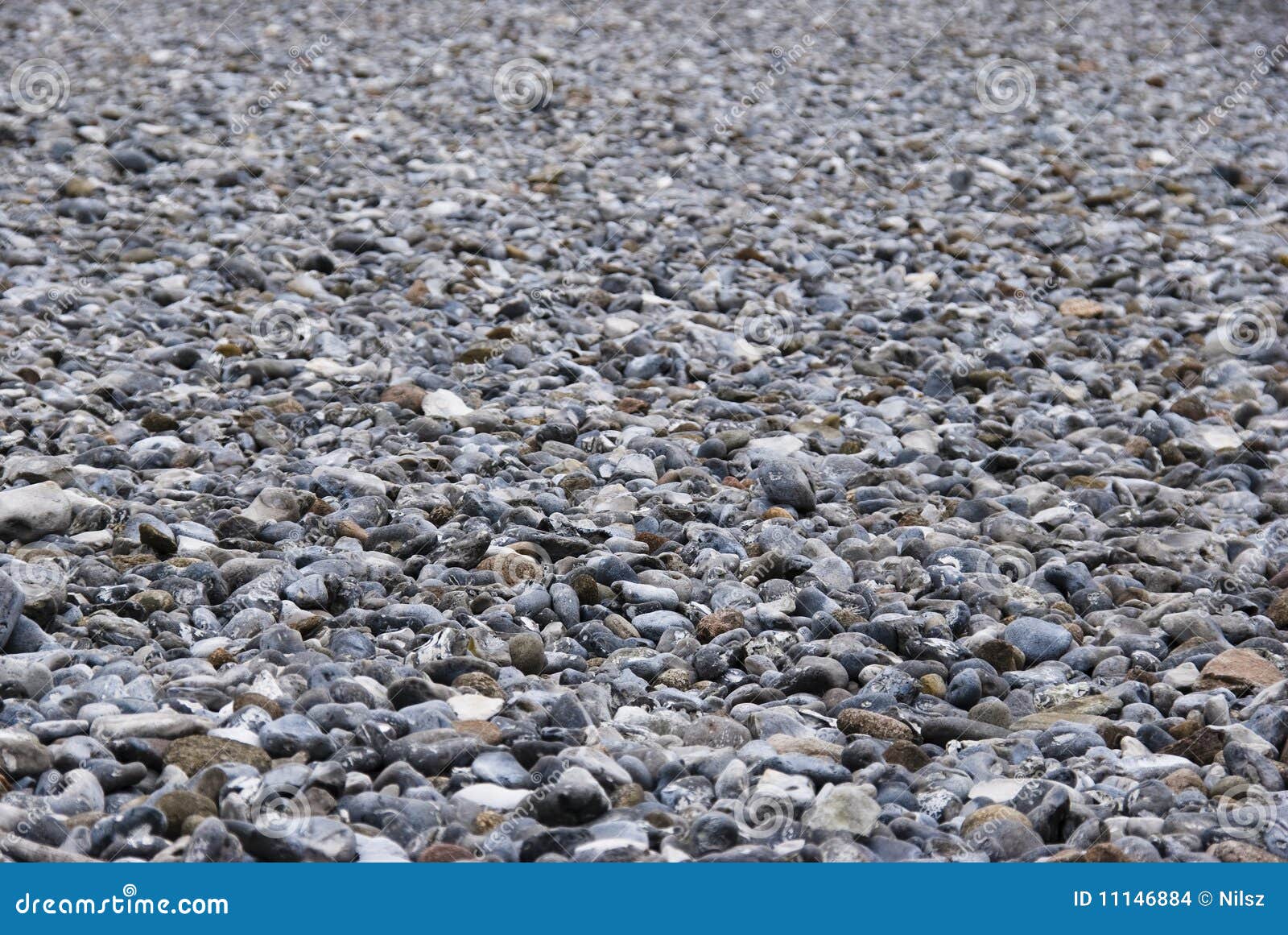 Field of Pebbles - Ruegen Firestones Stock Photo - Image of black, face ...