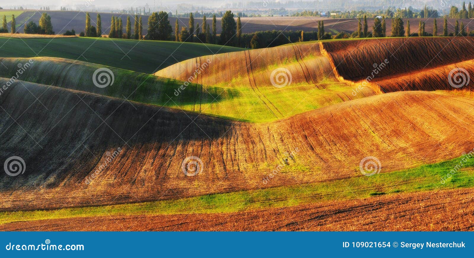 Field. Picturesque Hills of the Spring Field Stock Photo - Image of ...