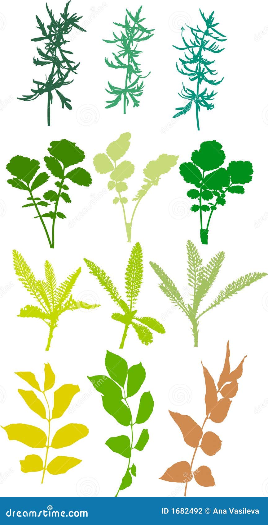 Field Plants Line Vector, Line Flowers Vector Set, Plants Collection ...