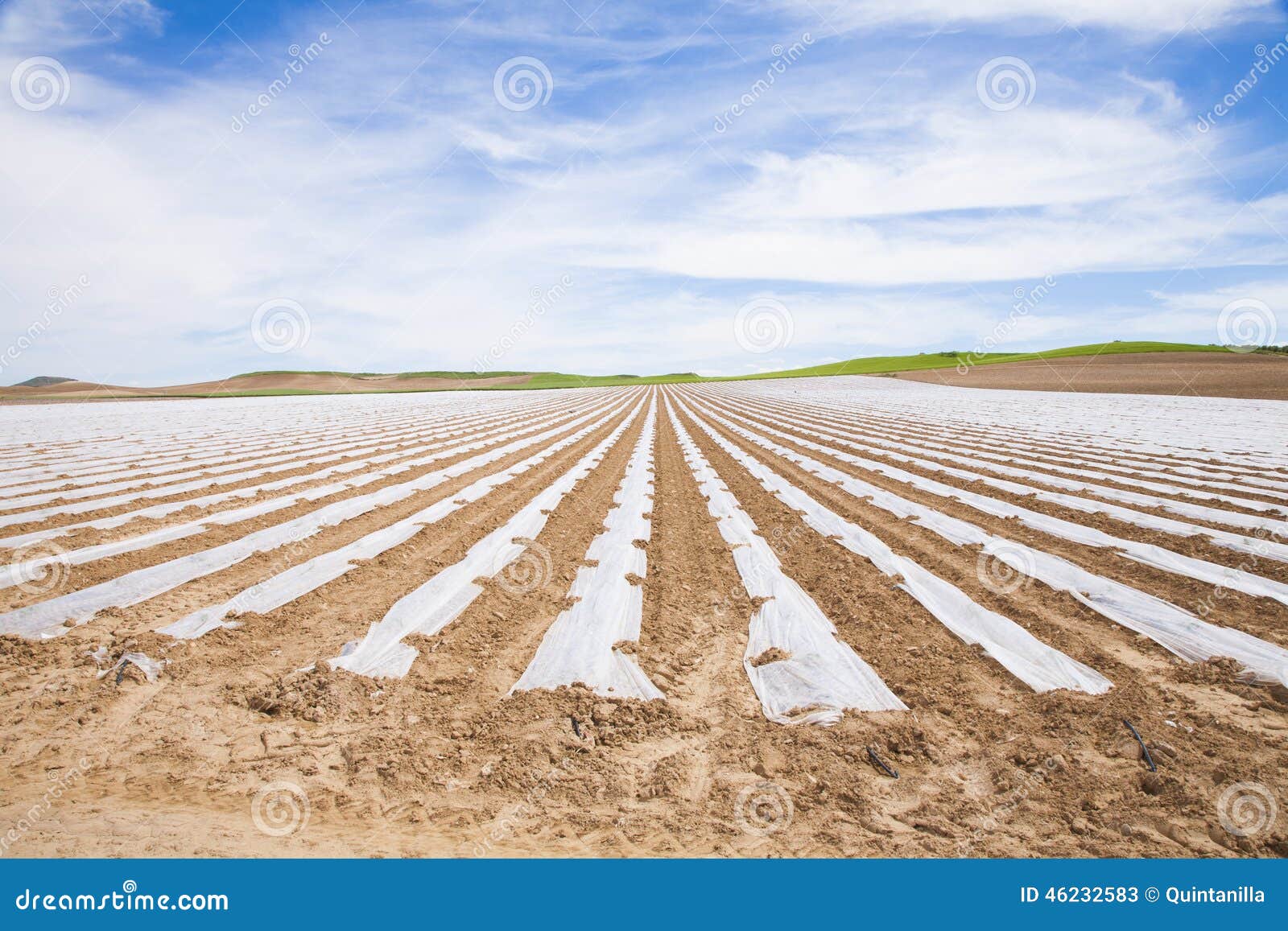 Field plastic stripped stock image. Image of field, covered - 46232583