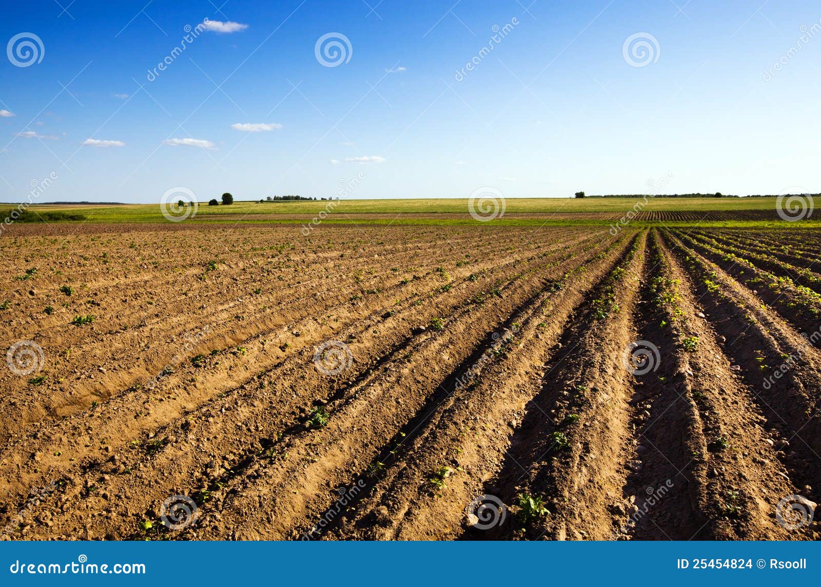 Field is plowed stock photo. Image of nature, organic - 25454824