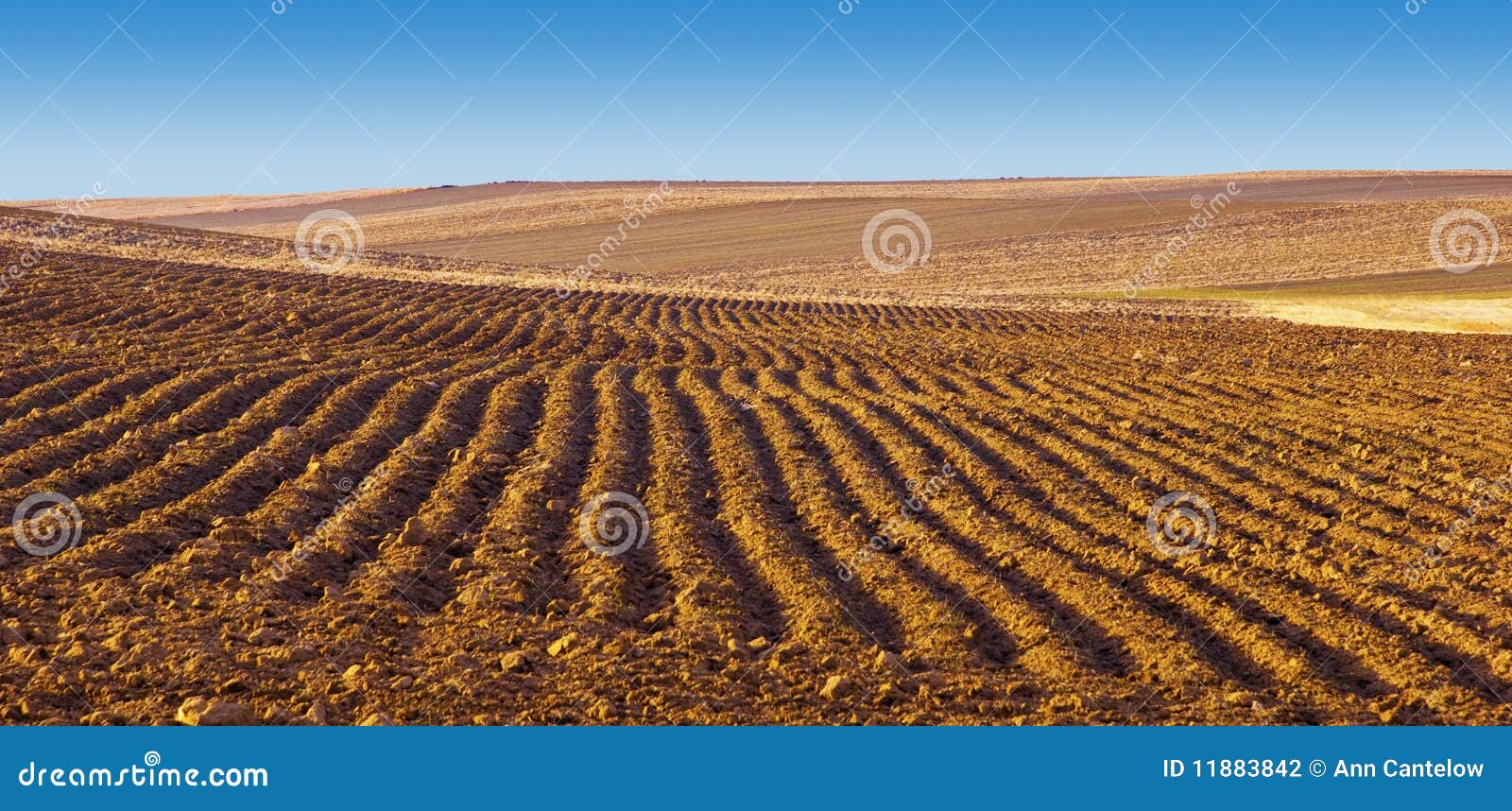 Field of Plowed Furrows stock photo. Image of shadows - 11883842