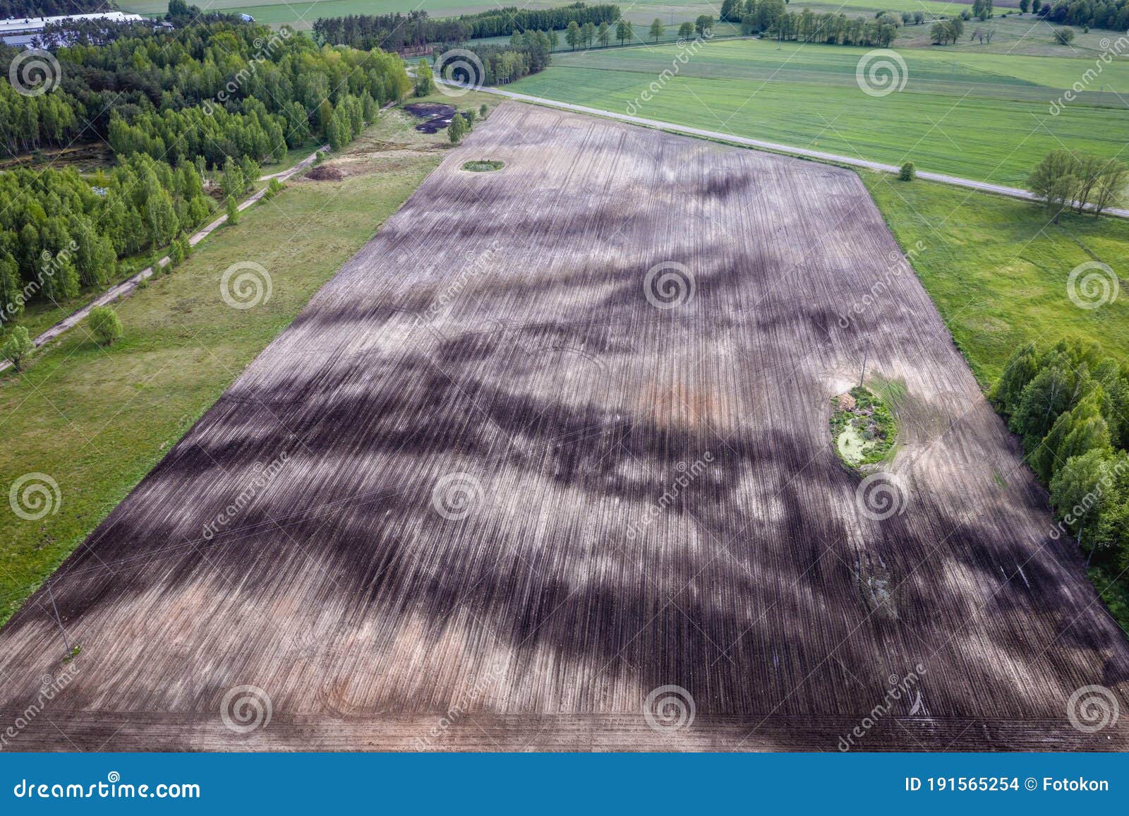 Field in Poland stock photo. Image of growing, mazowsze - 191565254