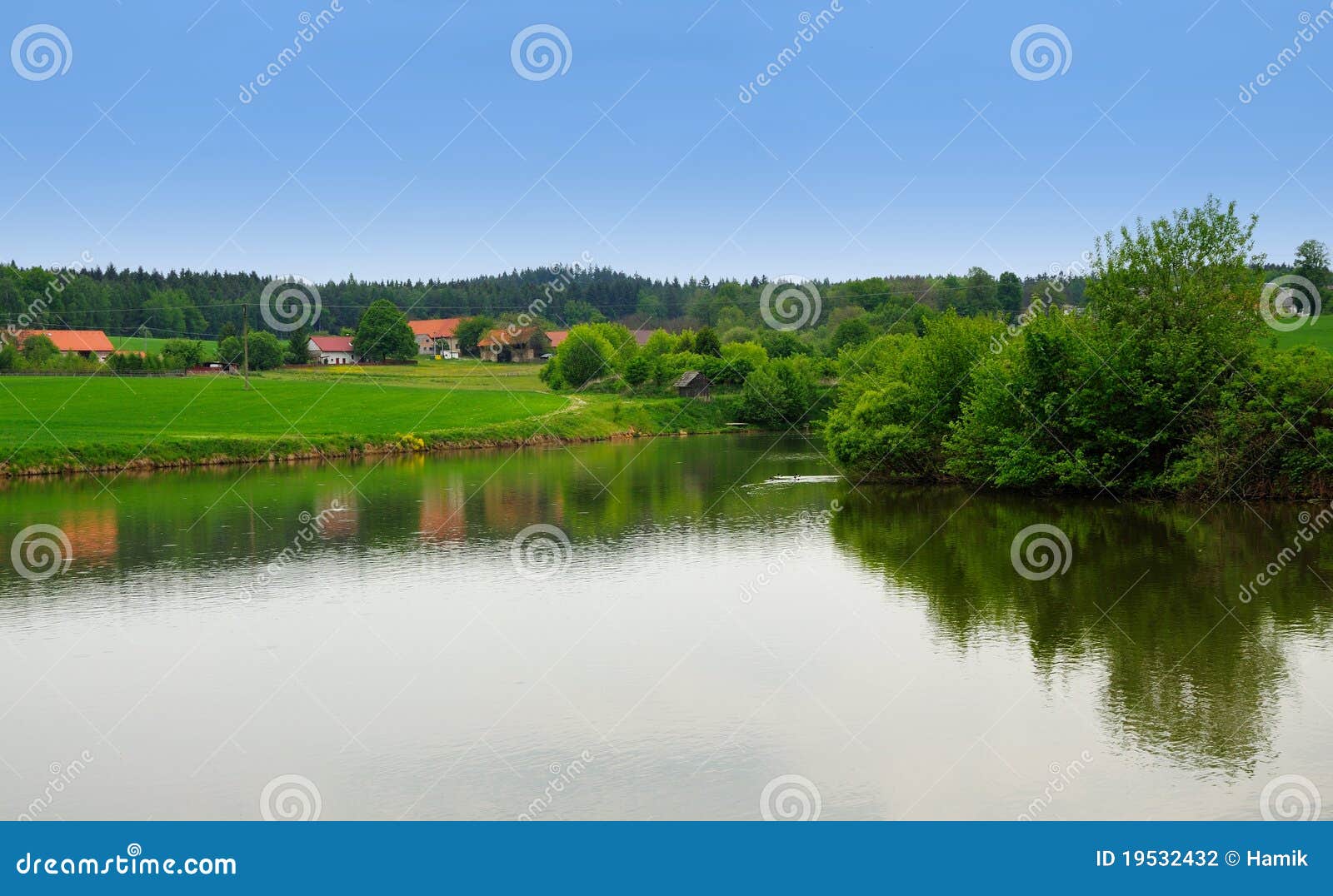 Field and pond stock photo. Image of pond, nature, forest - 19532432