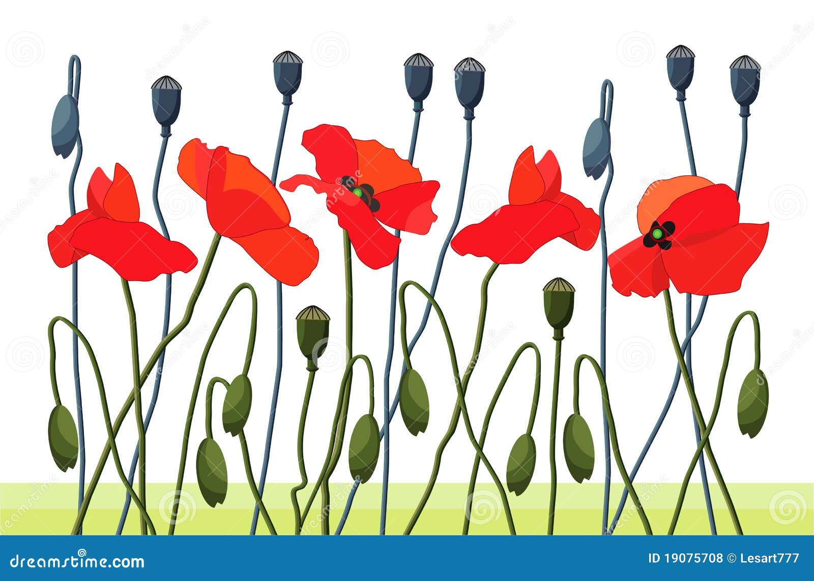 Field poppies stock vector. Illustration of closeup, color - 19075708