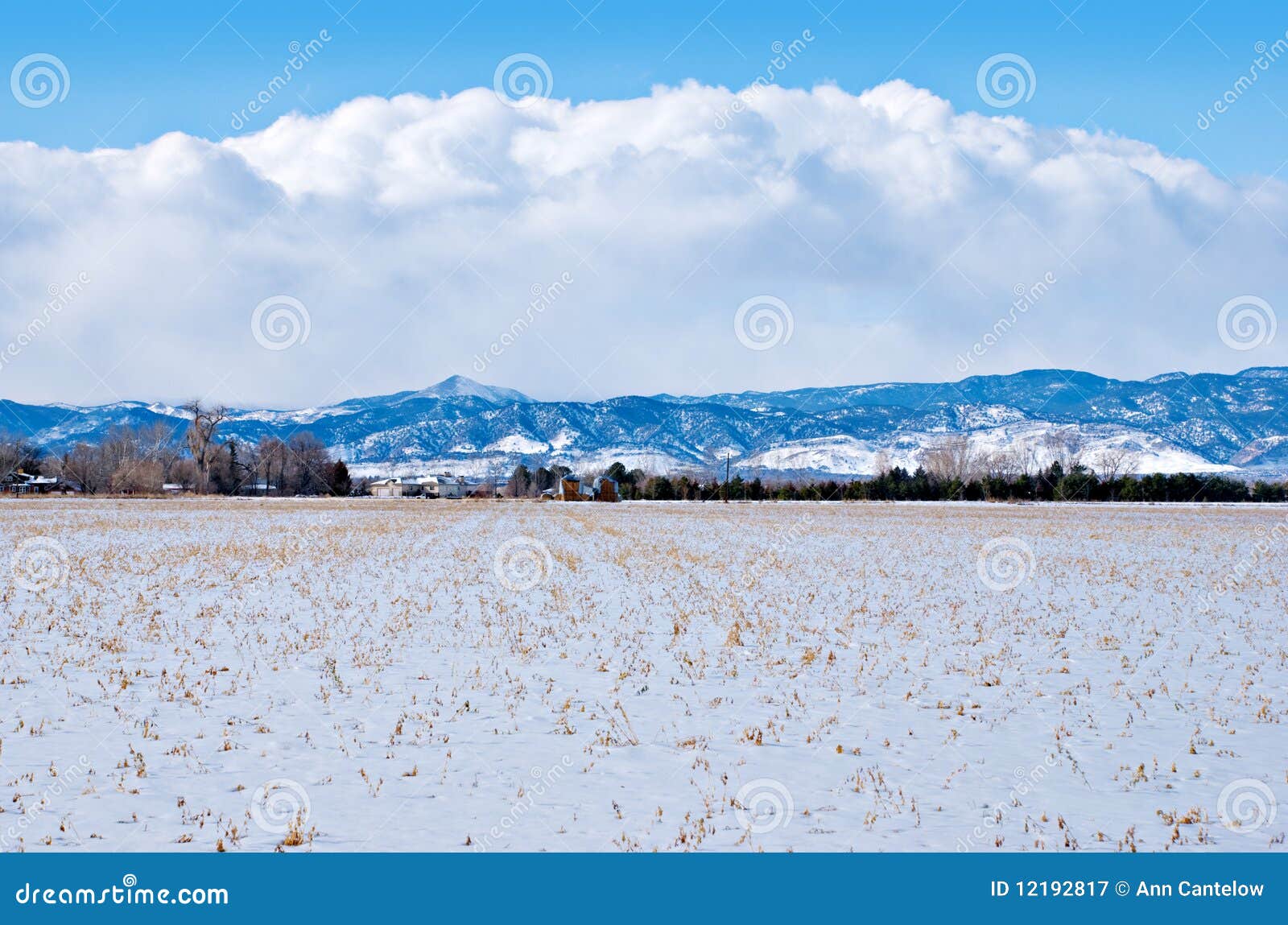 Field on the Prairie Under Snow Stock Image - Image of blue, full: 12192817