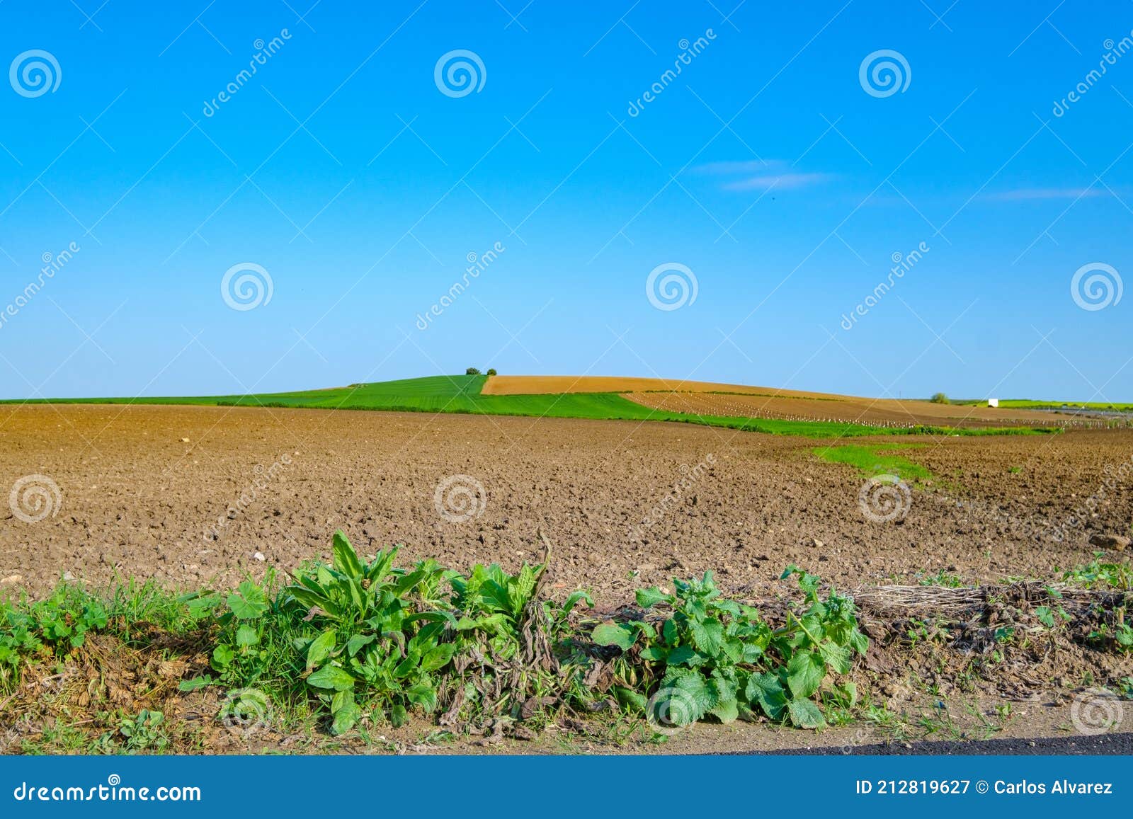 Field Prepared To Sow with Sky Stock Image - Image of beginnings ...