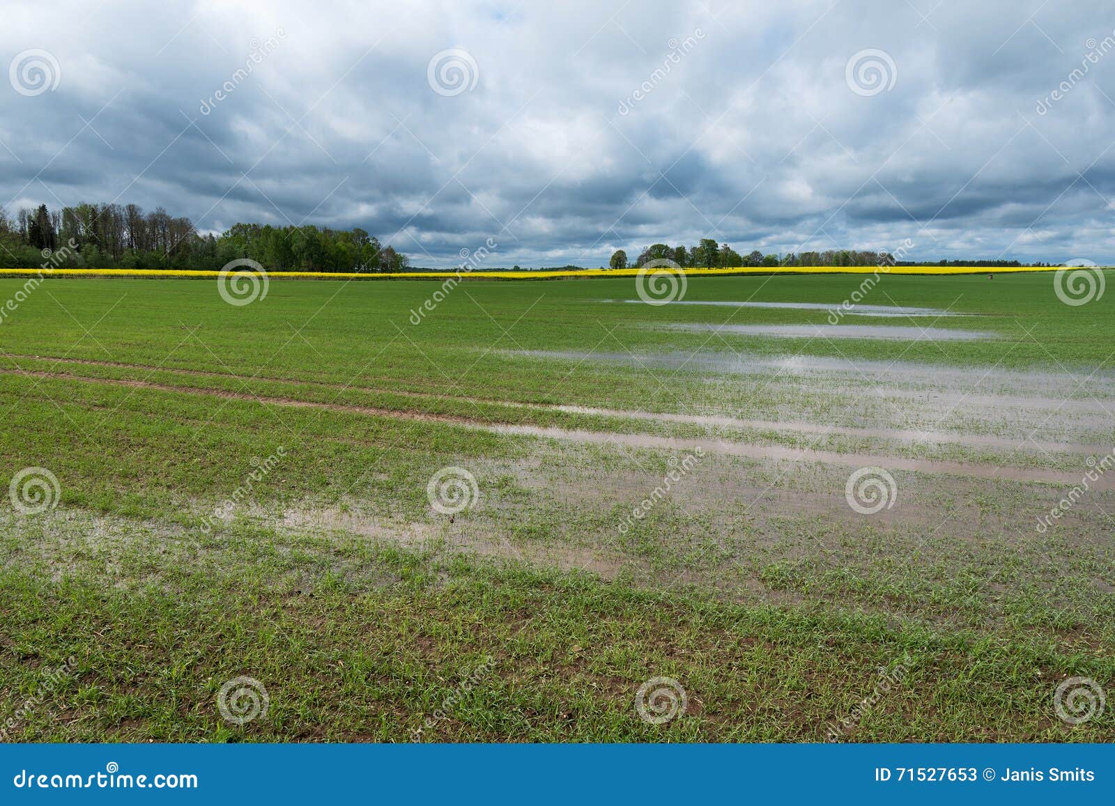 Field after rain. stock image. Image of agriculture, latvia - 71527653
