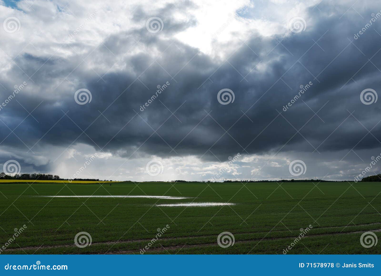 Field after rain. stock photo. Image of lawn, agriculture - 71578978