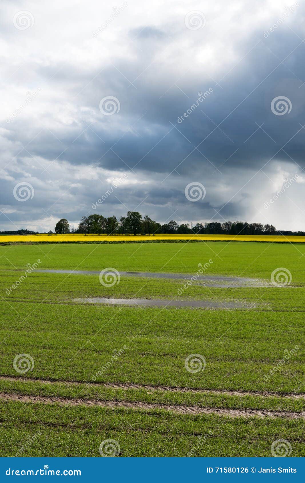 Field after rain. stock photo. Image of industry, ground - 71580126
