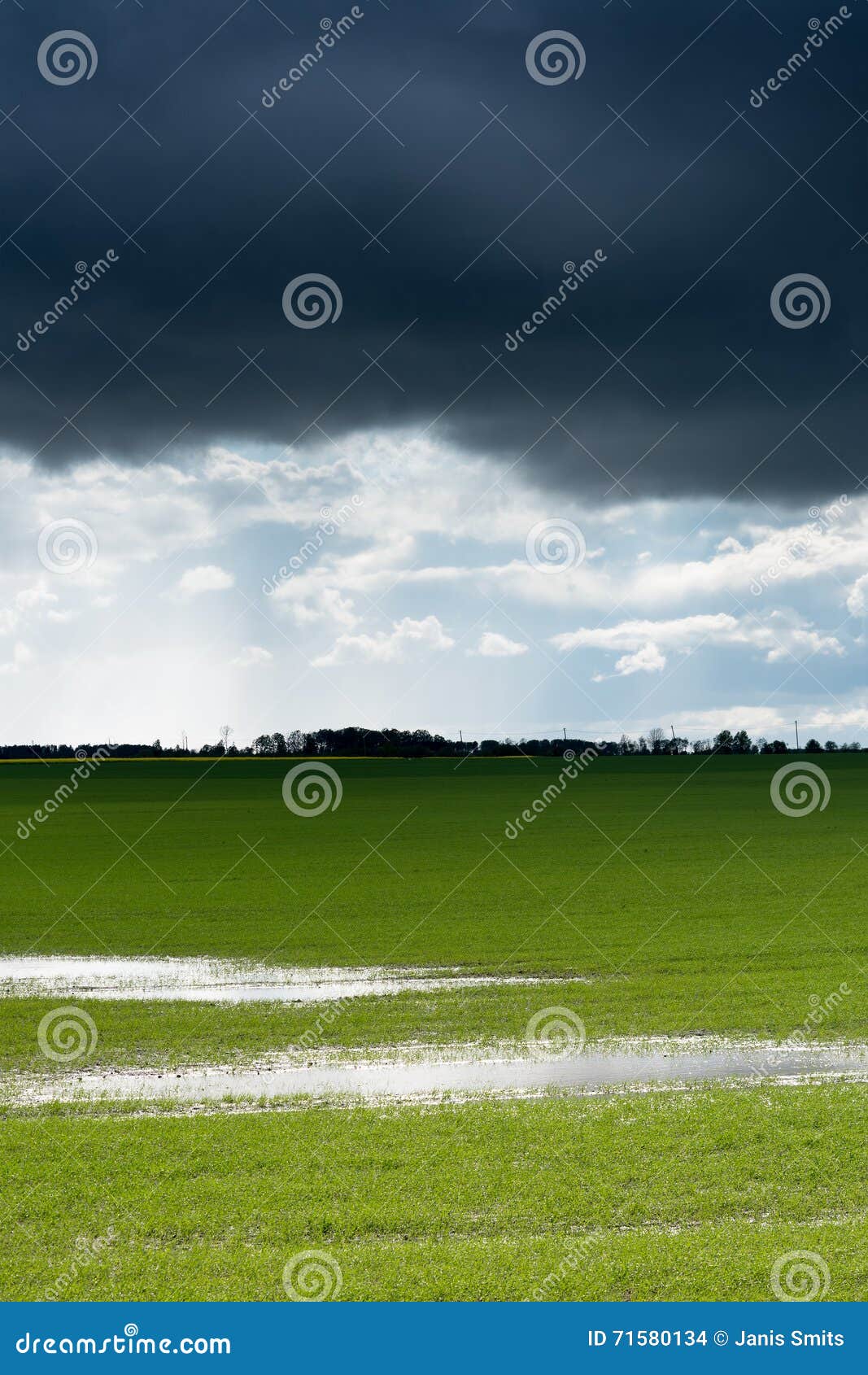 Field after rain. stock photo. Image of landscape, green - 71580134